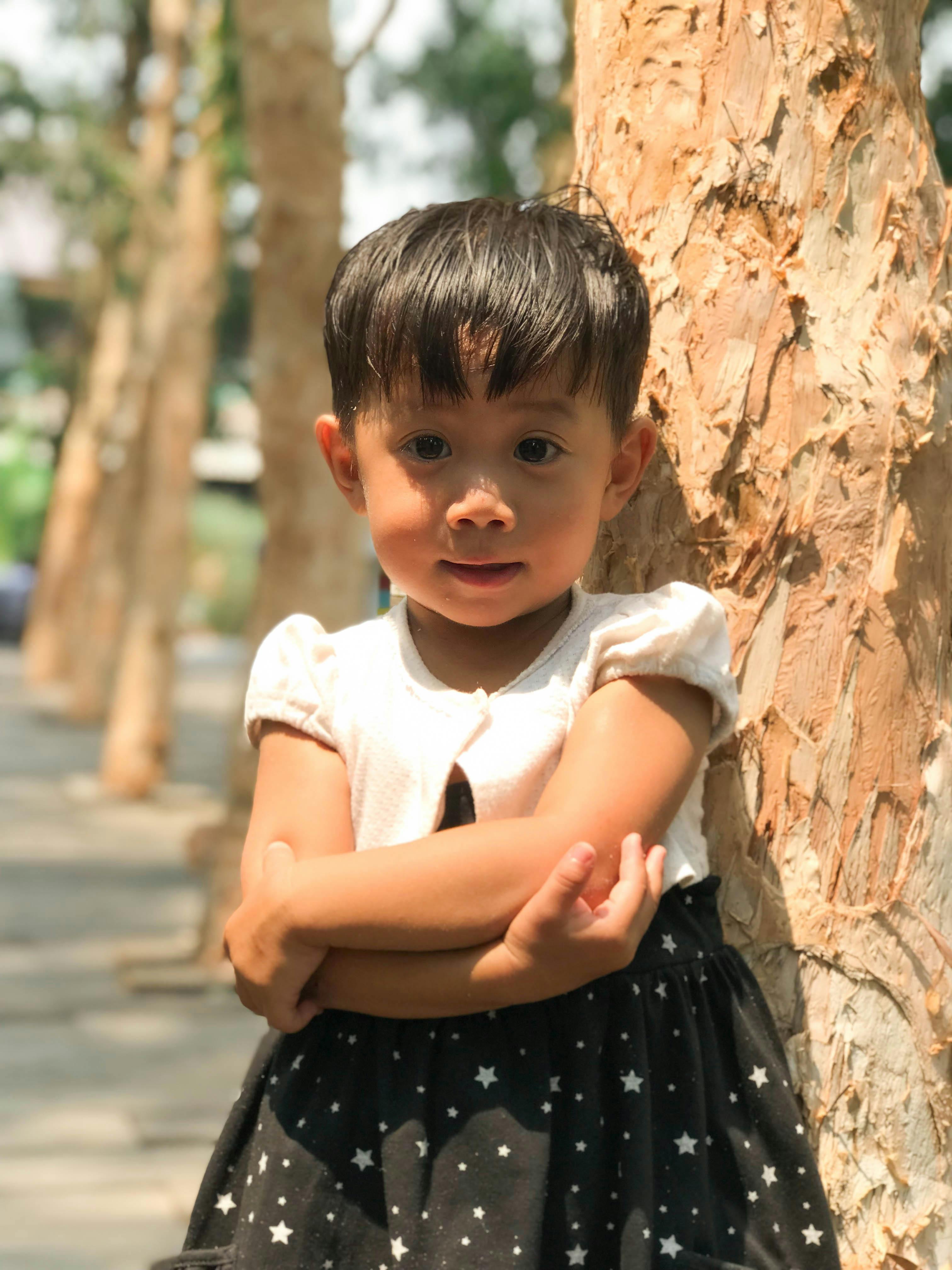 Small Biscuits Photos, Download The BEST Free Small Biscuits Stock ...