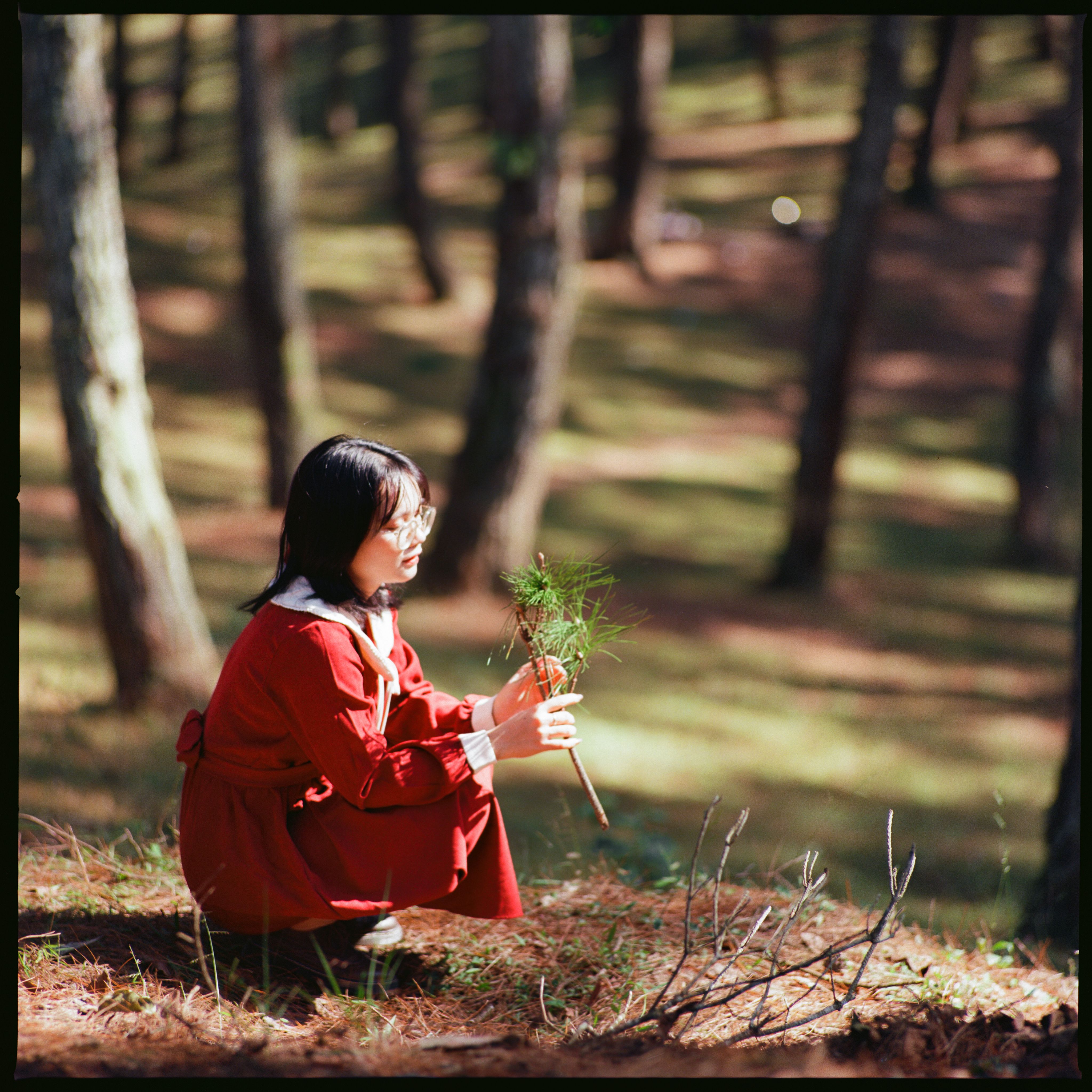 Woman Squatting with Plant in Forest · Free Stock Photo