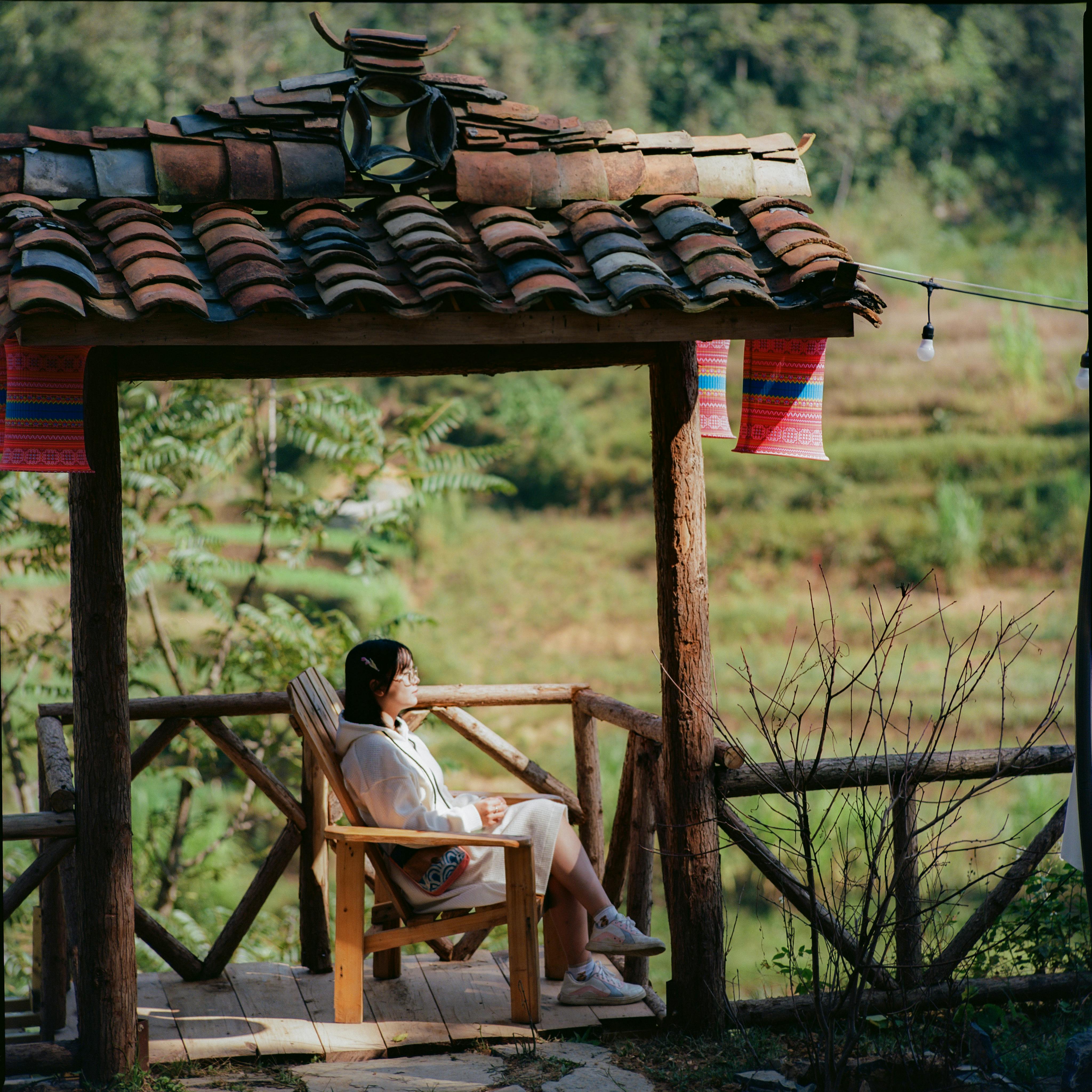 Wooden Garden Chair under Tree · Free Stock Photo