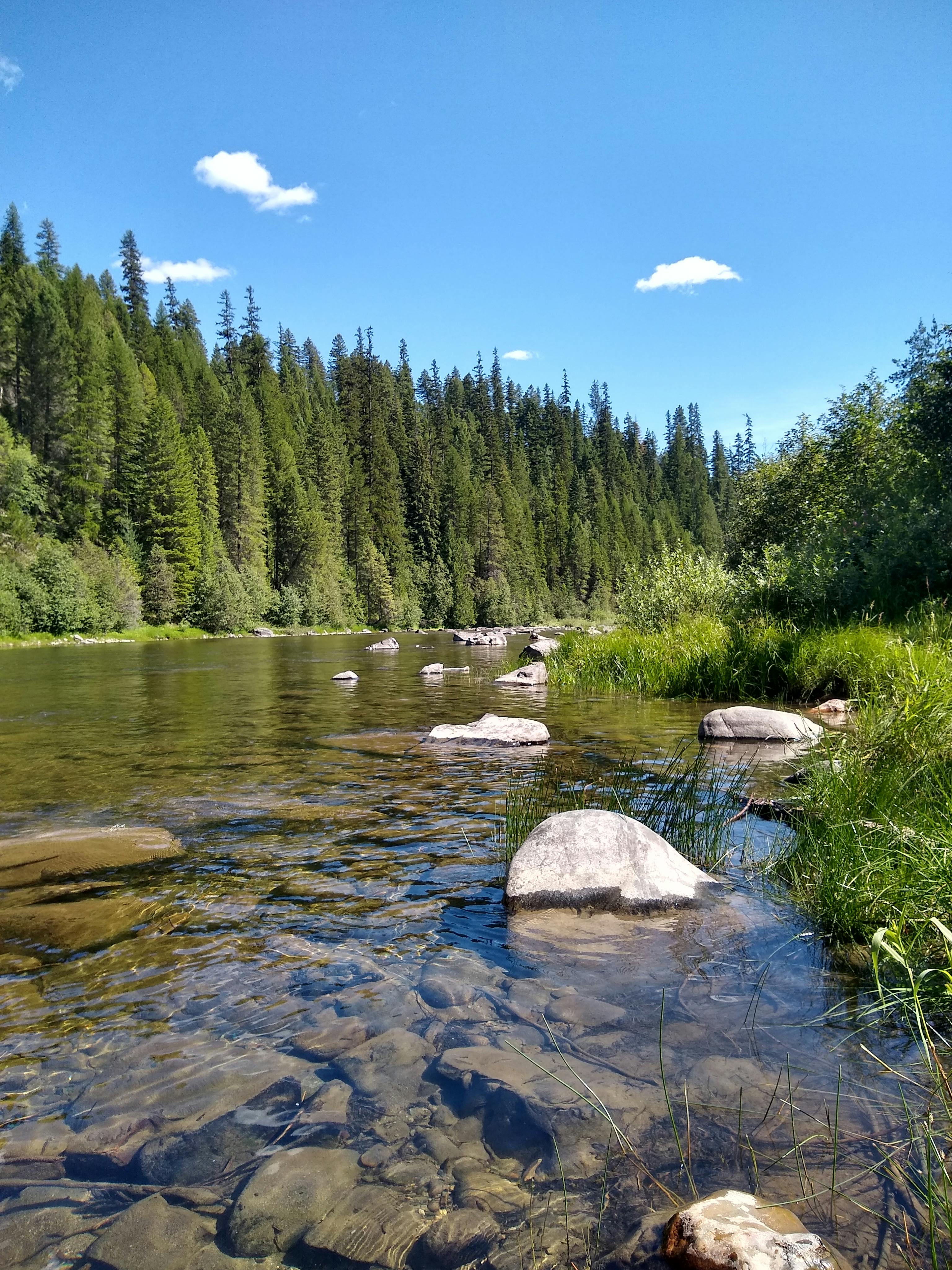 Rocks in a River · Free Stock Photo