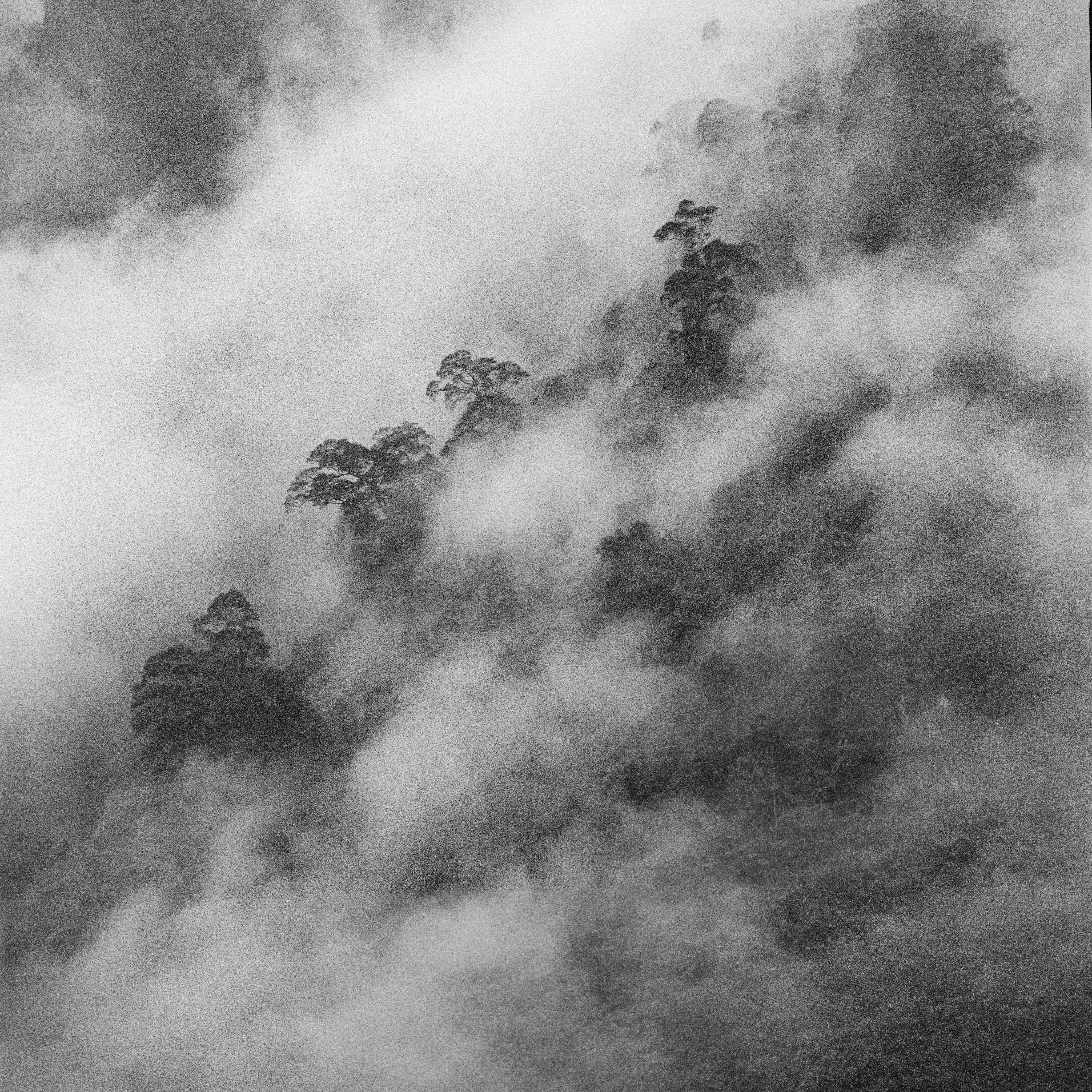 Foto de stock gratuita sobre arboles, asia, aventura, belleza natural ...