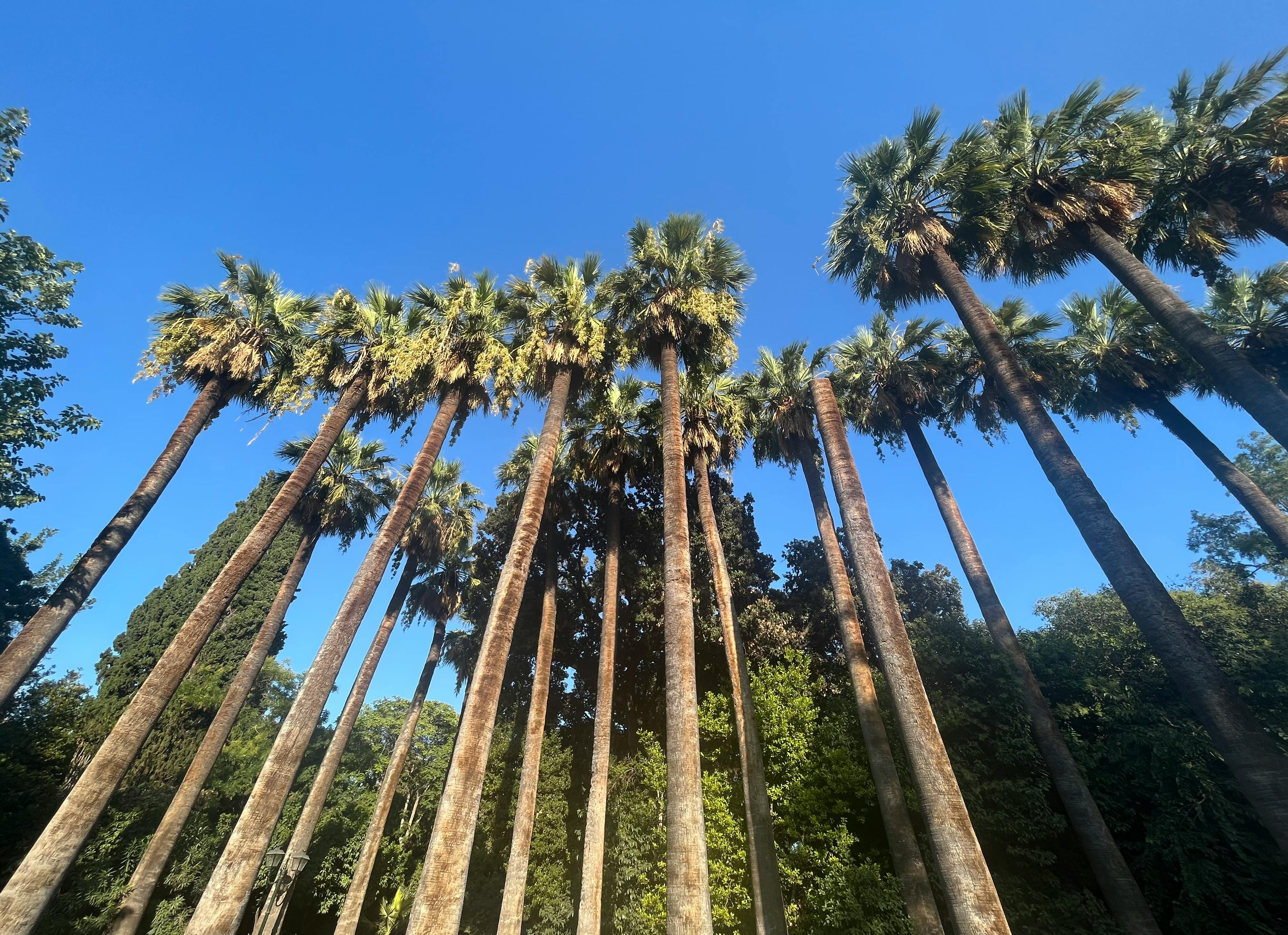 Chelsie Grace - 写真