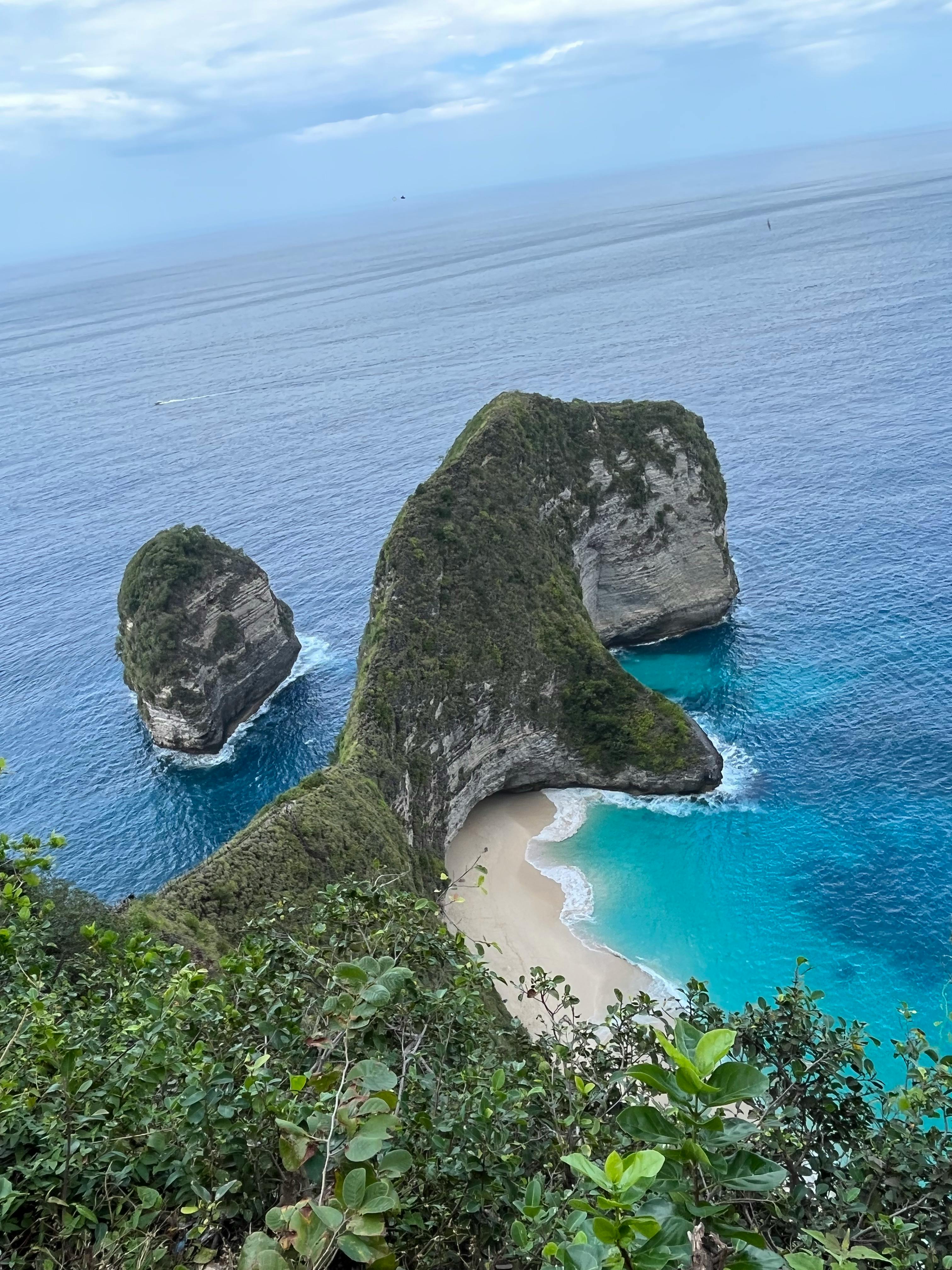 Chelsie Grace - 写真