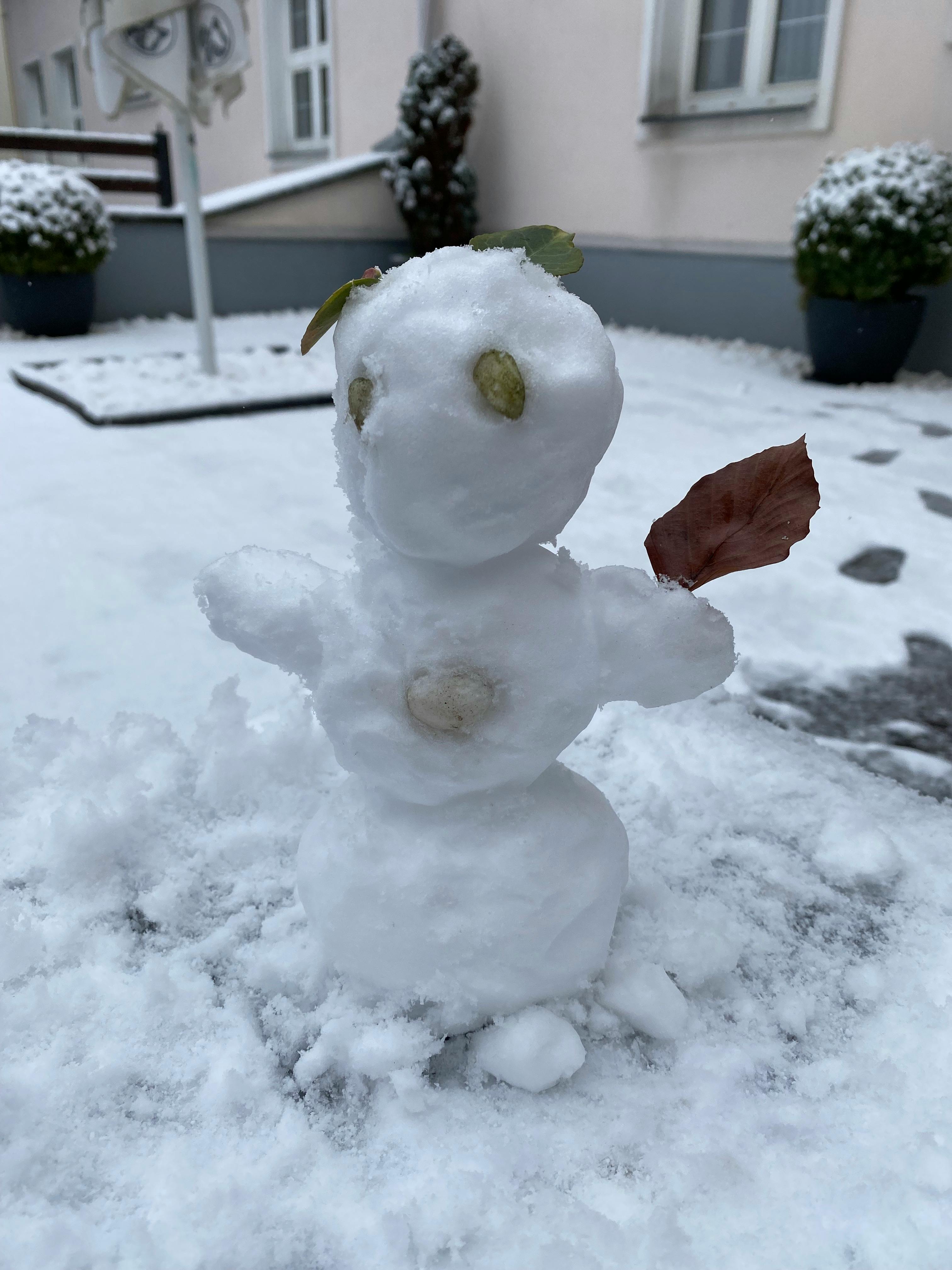 Martin Auge - 사진