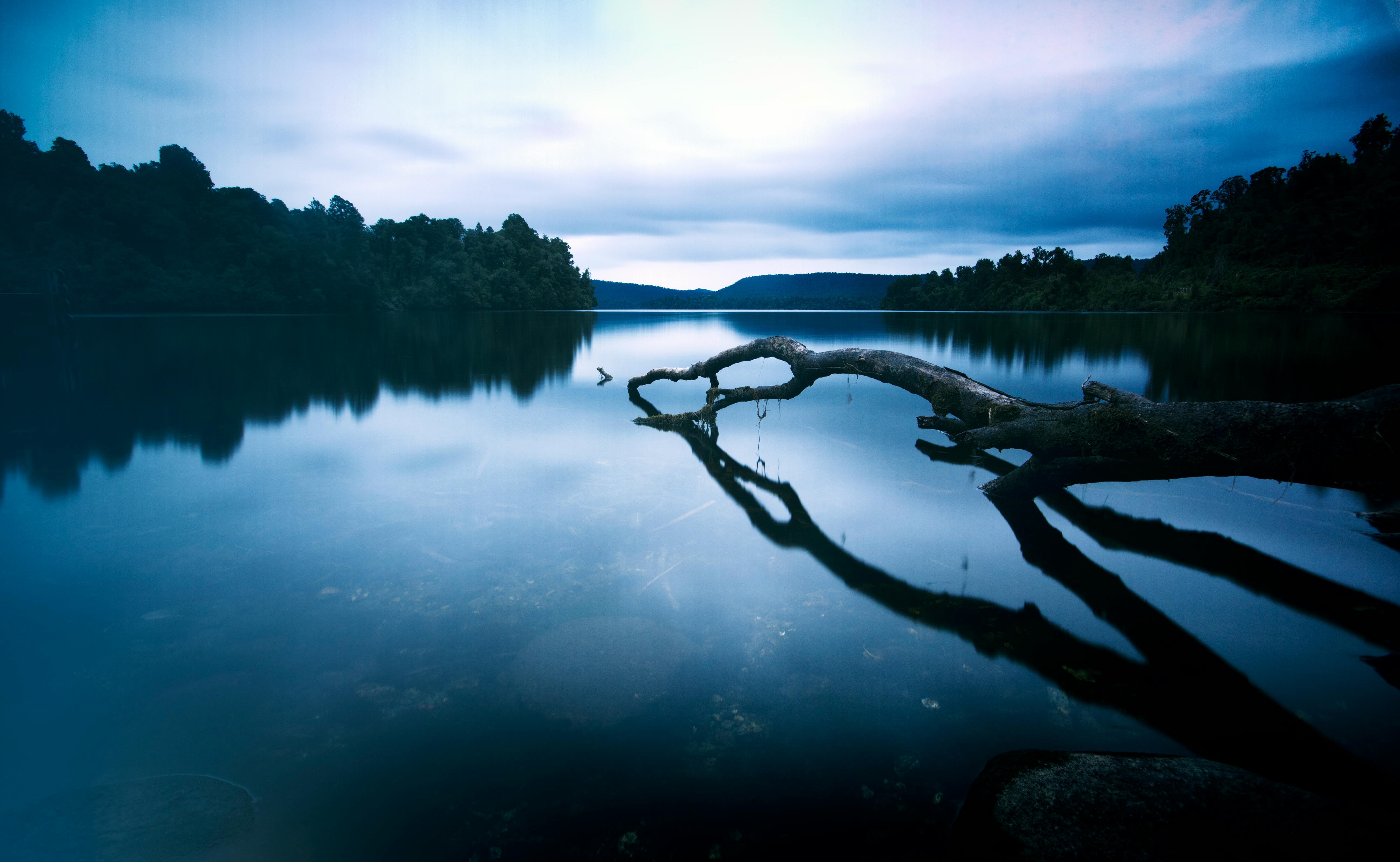 Broken School Photos, Download The BEST Free Broken School Stock Photos ...