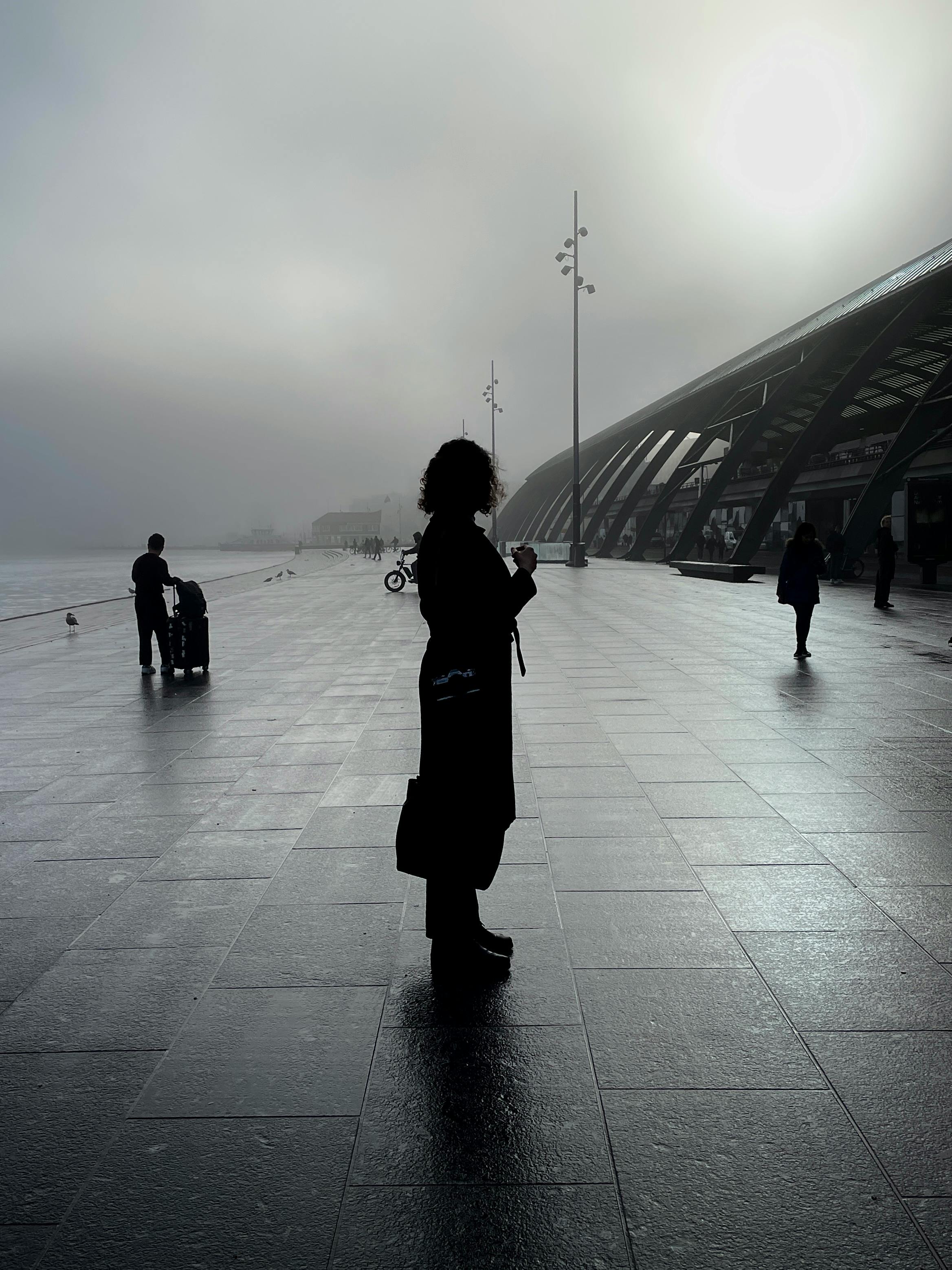 Portarits Photos, Download The BEST Free Portarits Stock Photos & HD Images