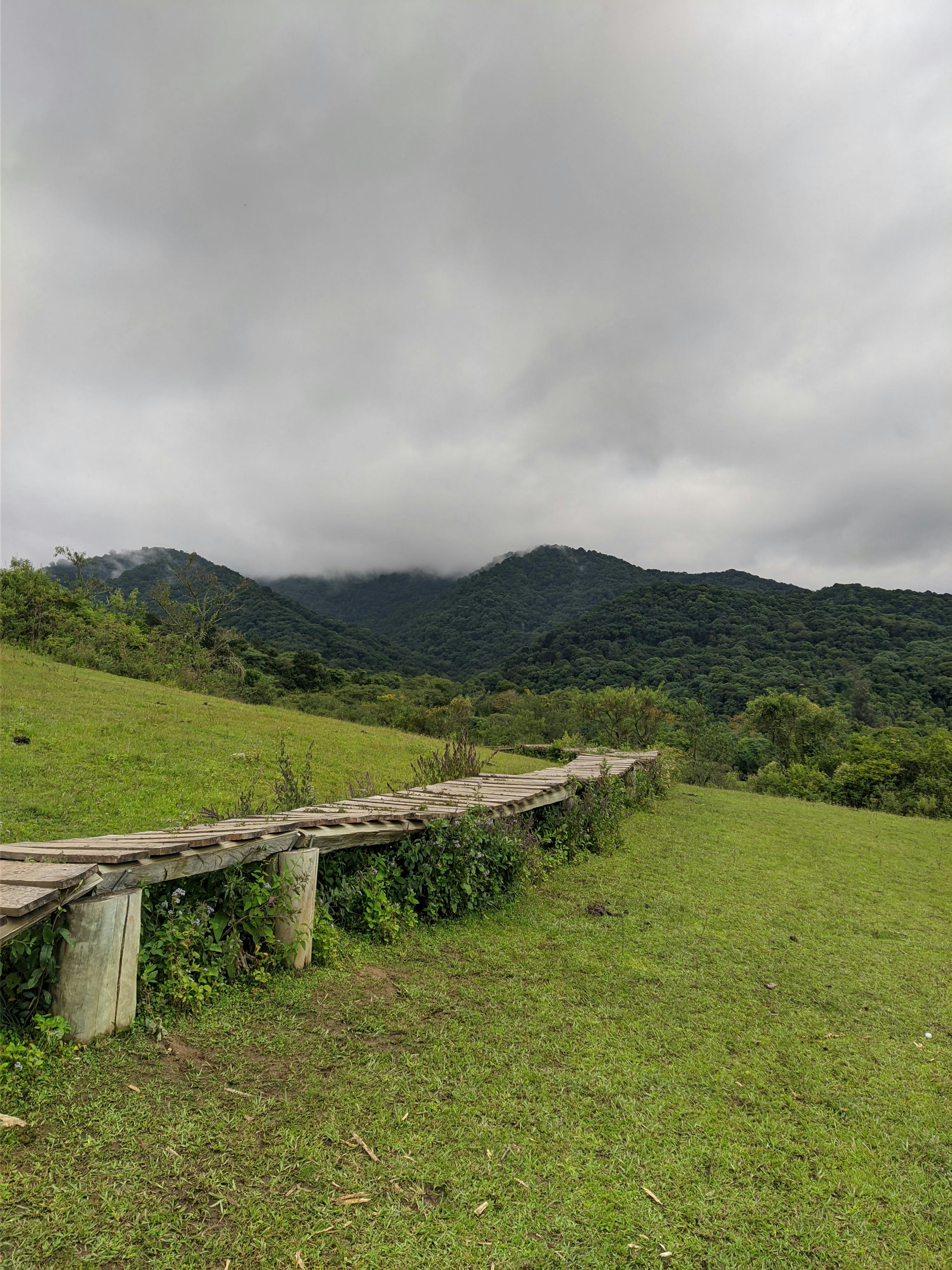 Hitch Hiking Photos, Download The BEST Free Hitch Hiking Stock Photos ...