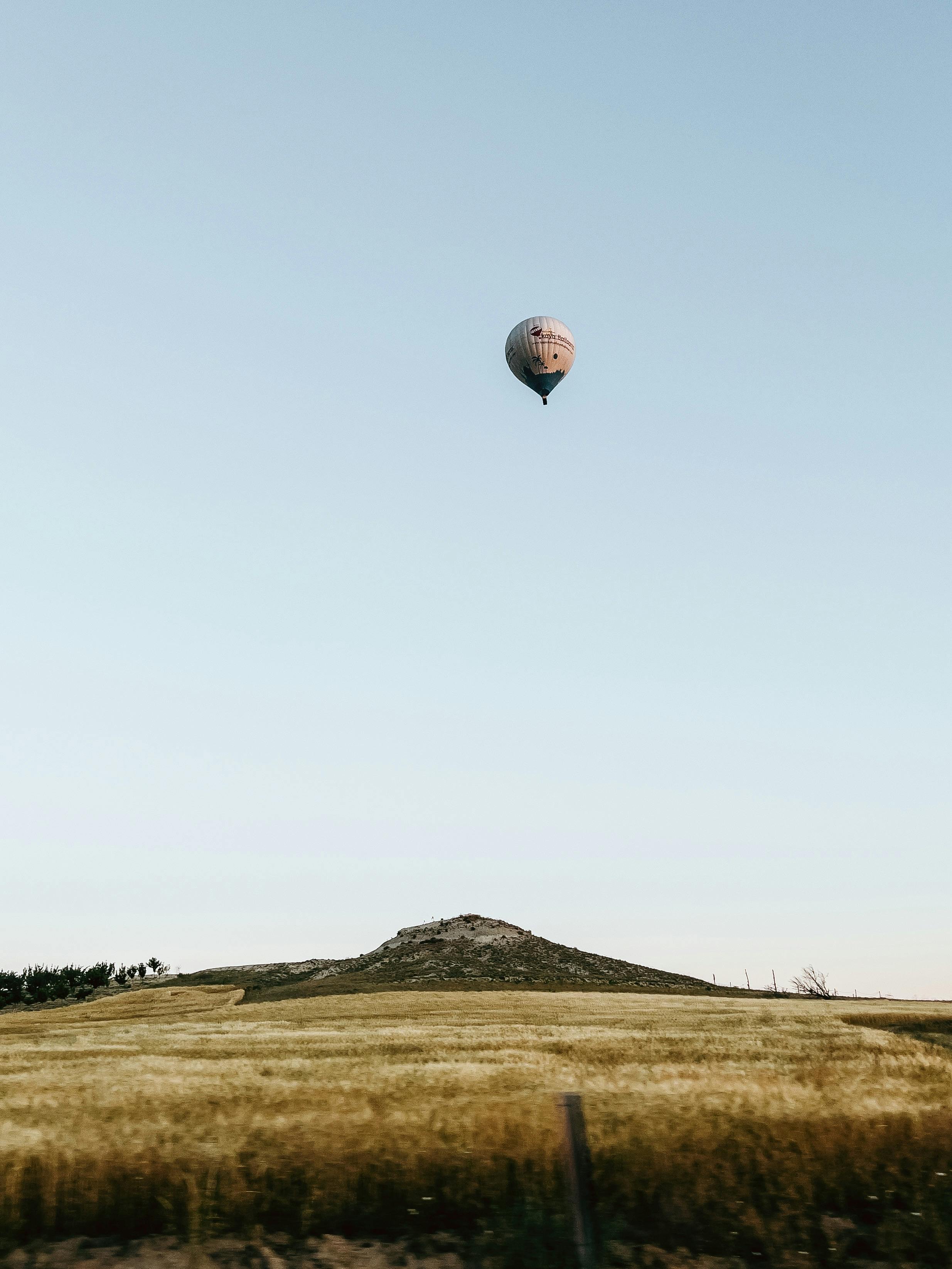 Parrot In Flight Photos, Download The BEST Free Parrot In Flight Stock ...