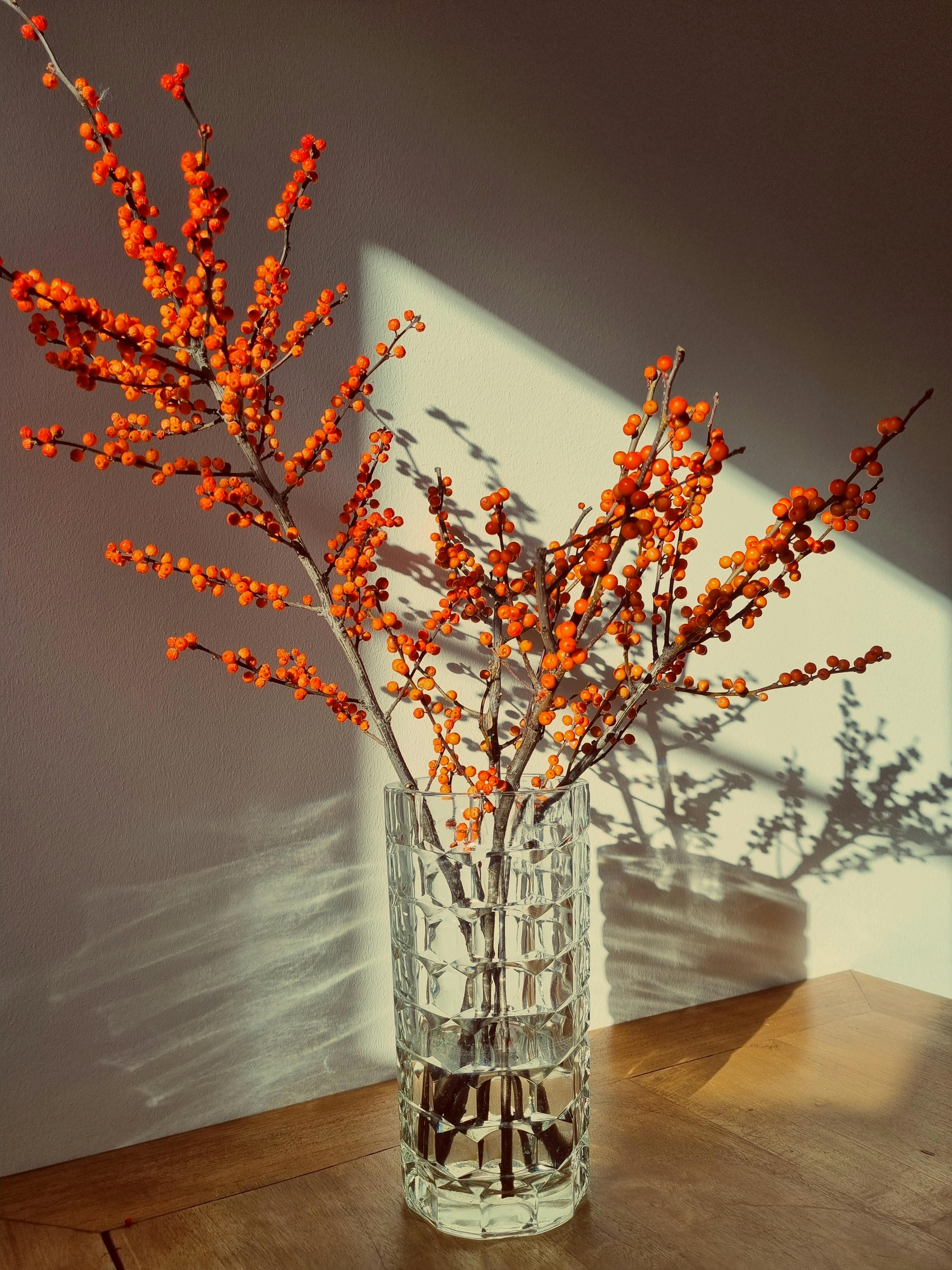 Lower Case I Photos, Download The BEST Free Lower Case I Stock Photos ...