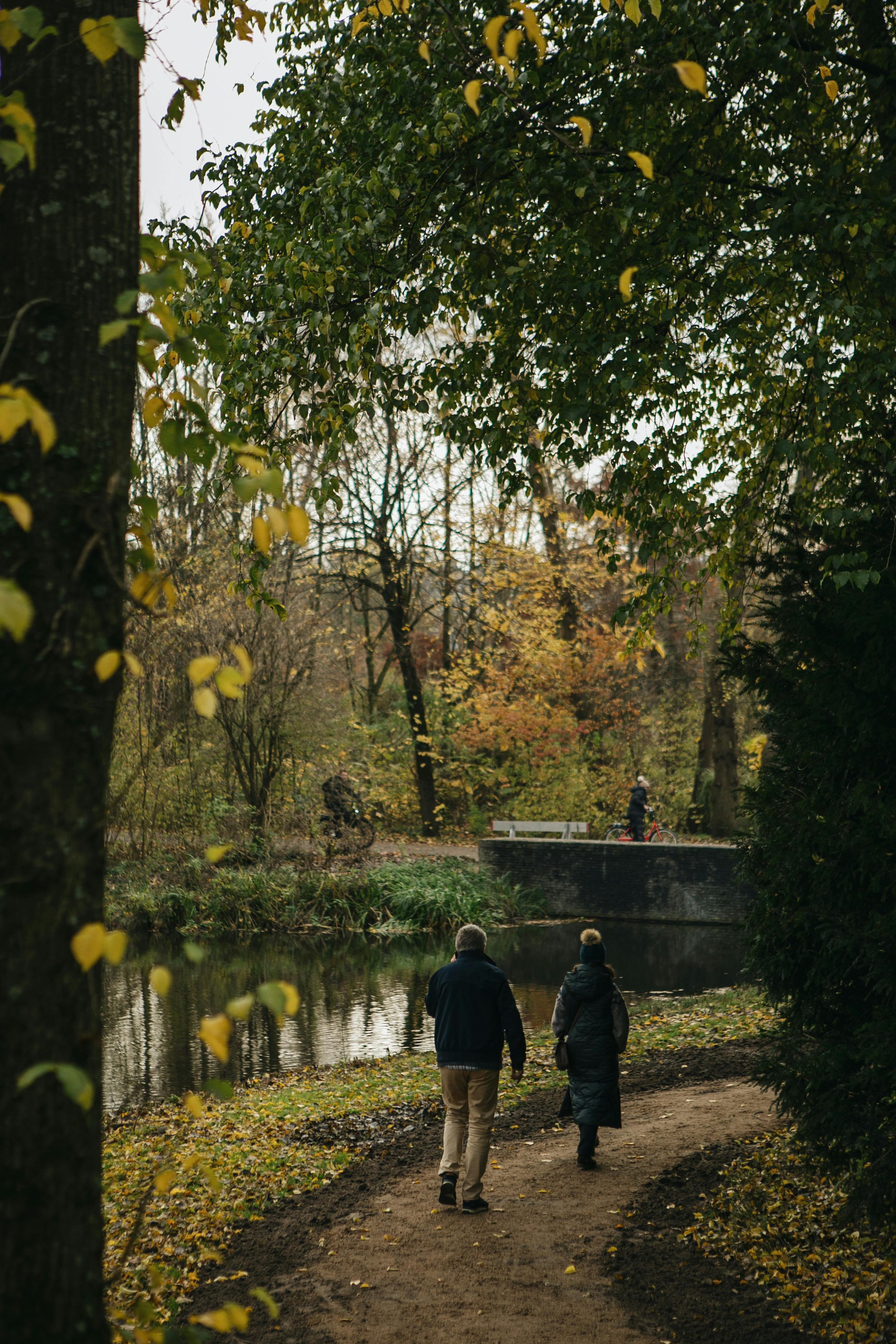 Couple Walking on Path in Fall Forest · Free Stock Photo