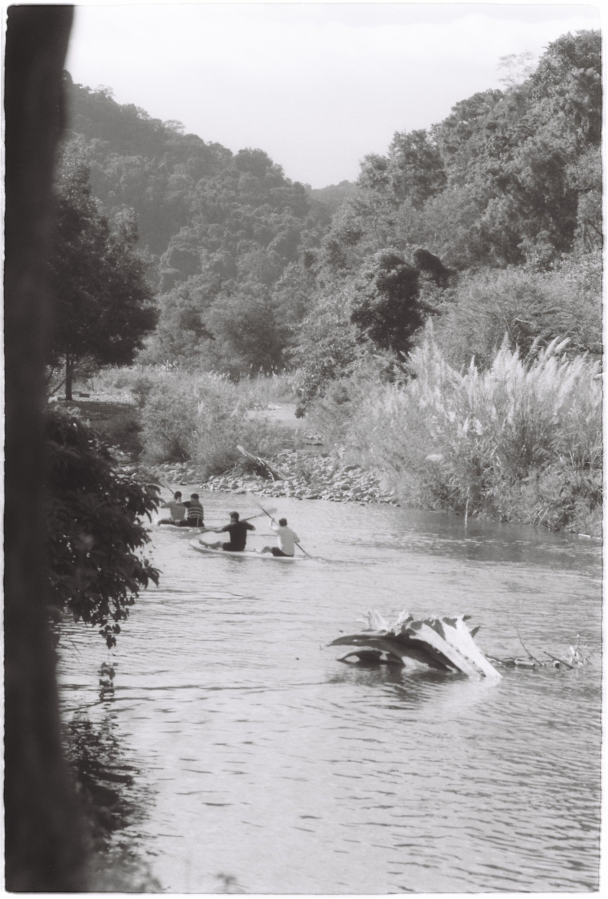 People Canoeing on River · Free Stock Photo