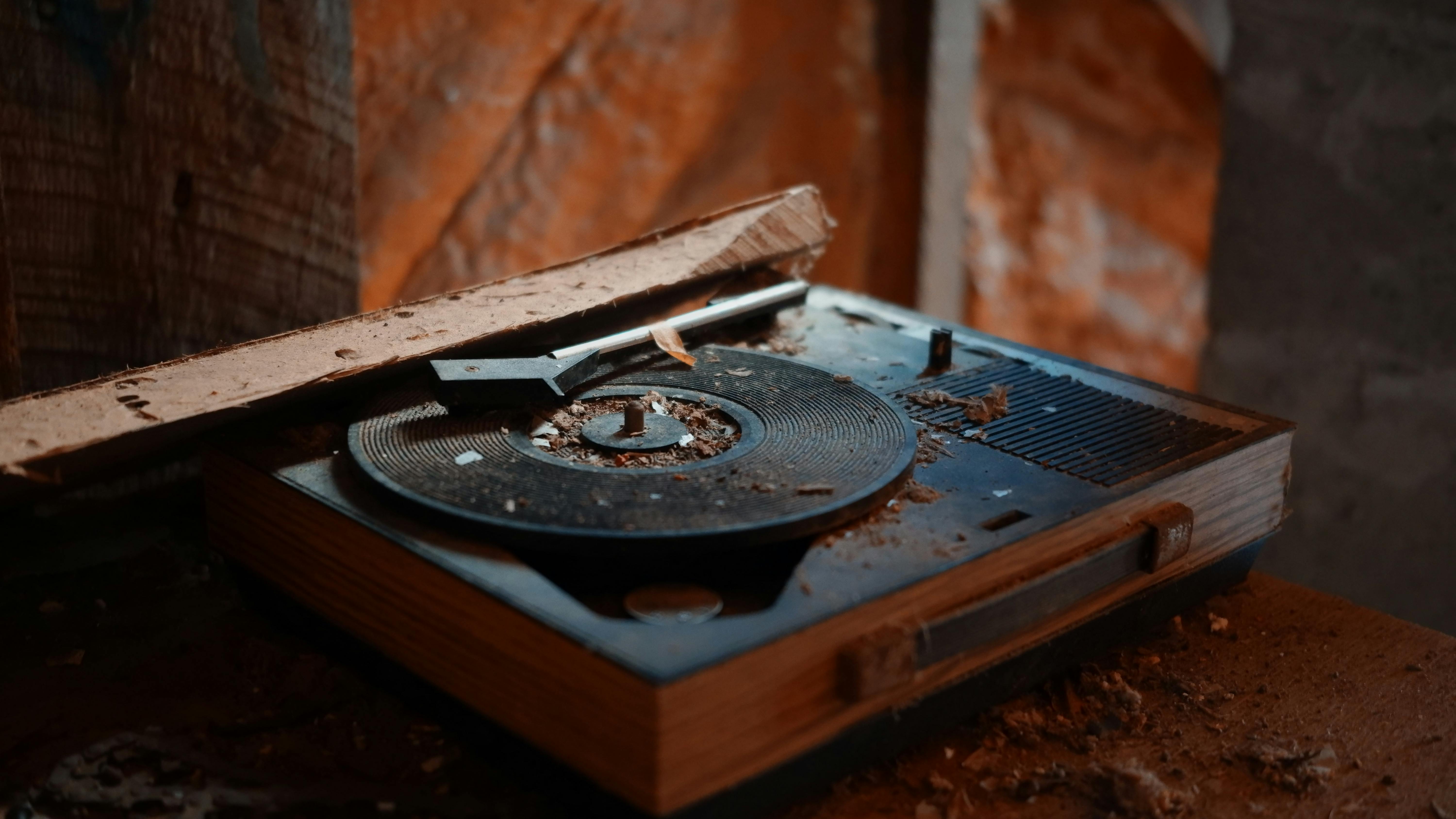 Retro Rats Photos, Download The BEST Free Retro Rats Stock Photos & HD ...