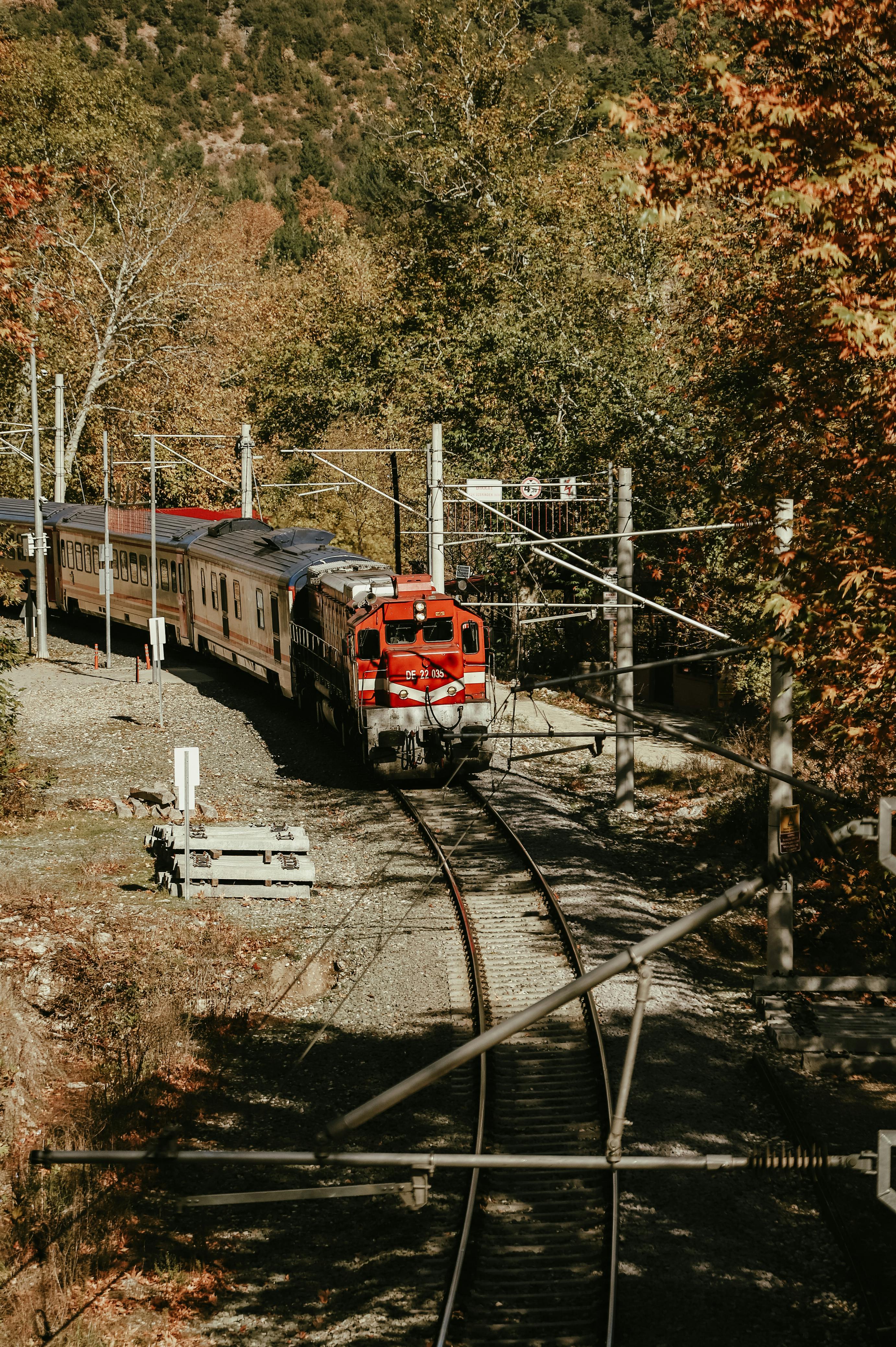 Train in Forest · Free Stock Photo