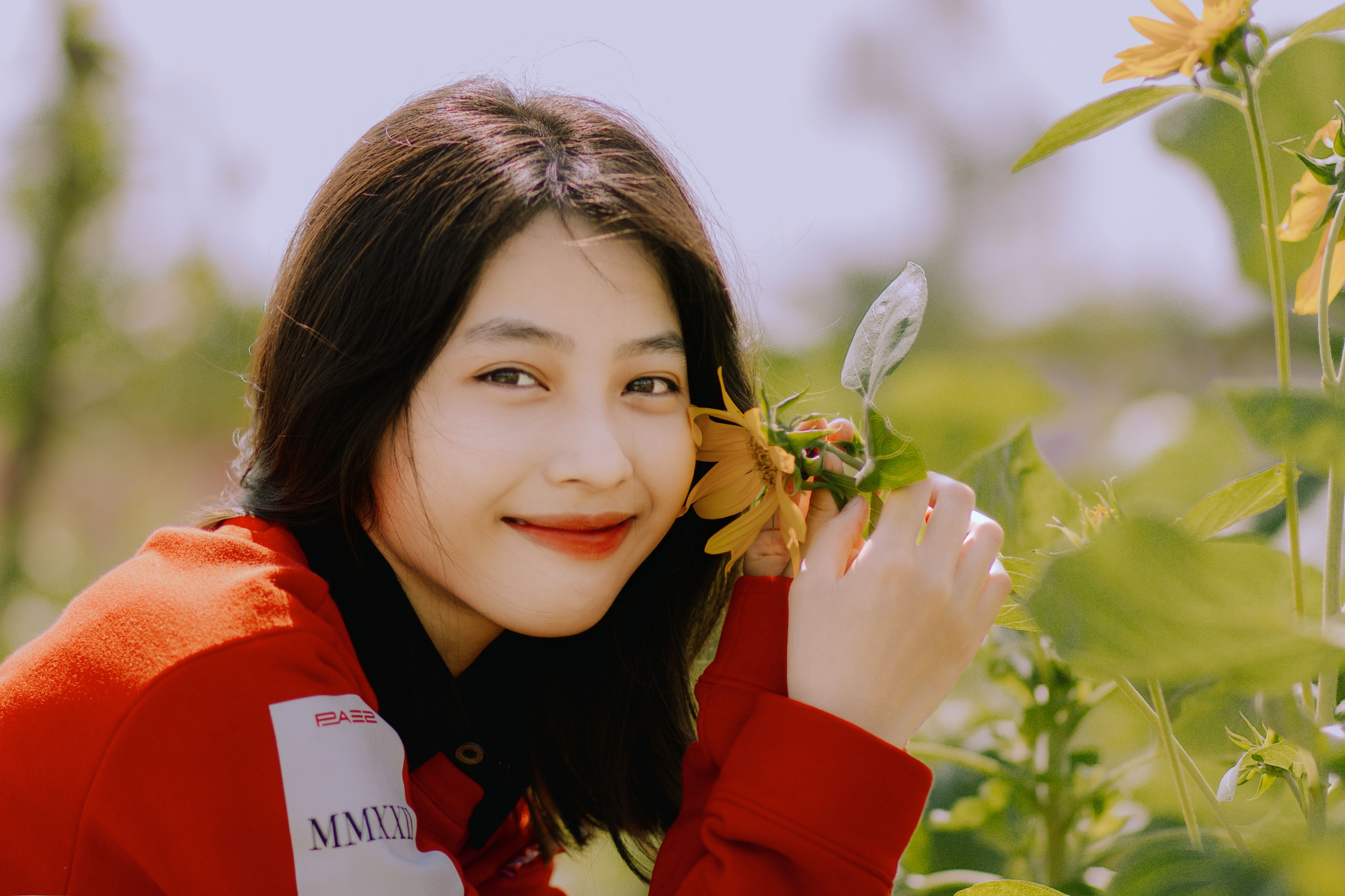 Jakarta Flower Photos, Download The BEST Free Jakarta Flower Stock ...