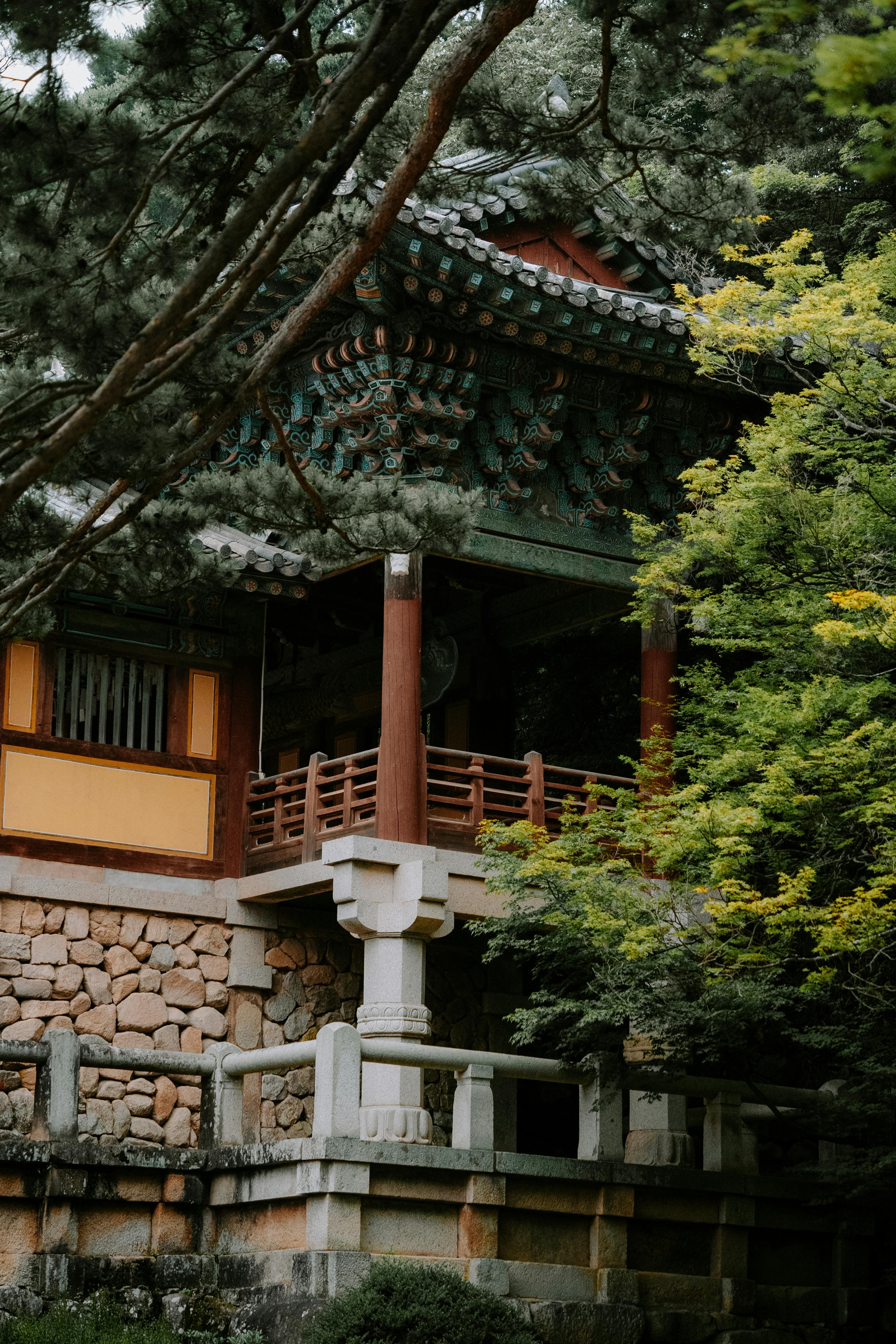 Tree over Wall of Bulguksa Temple in South Korea · Free Stock Photo