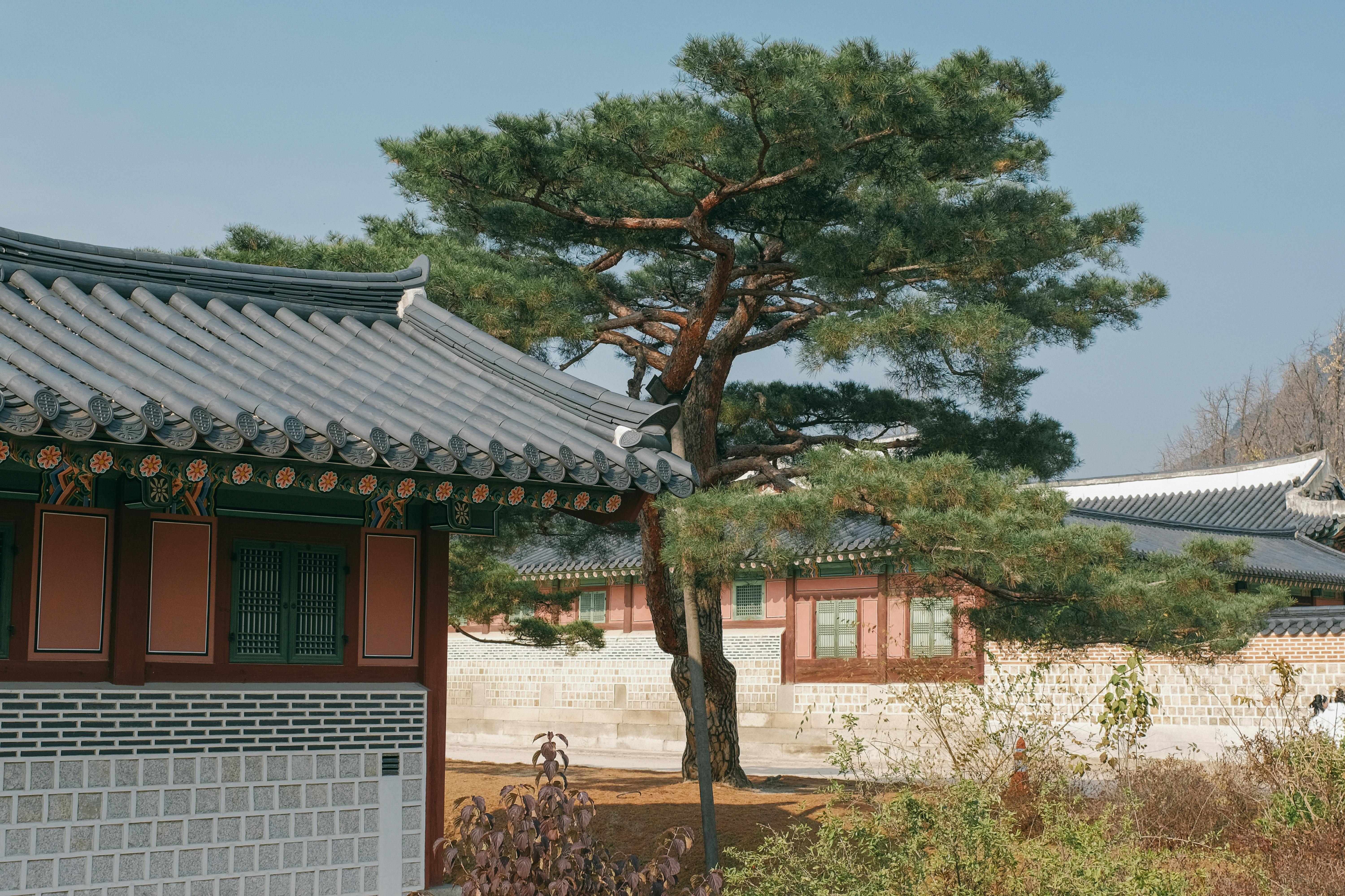 Landscape Photography of the Gyeongbokgung Palace · Free Stock Photo