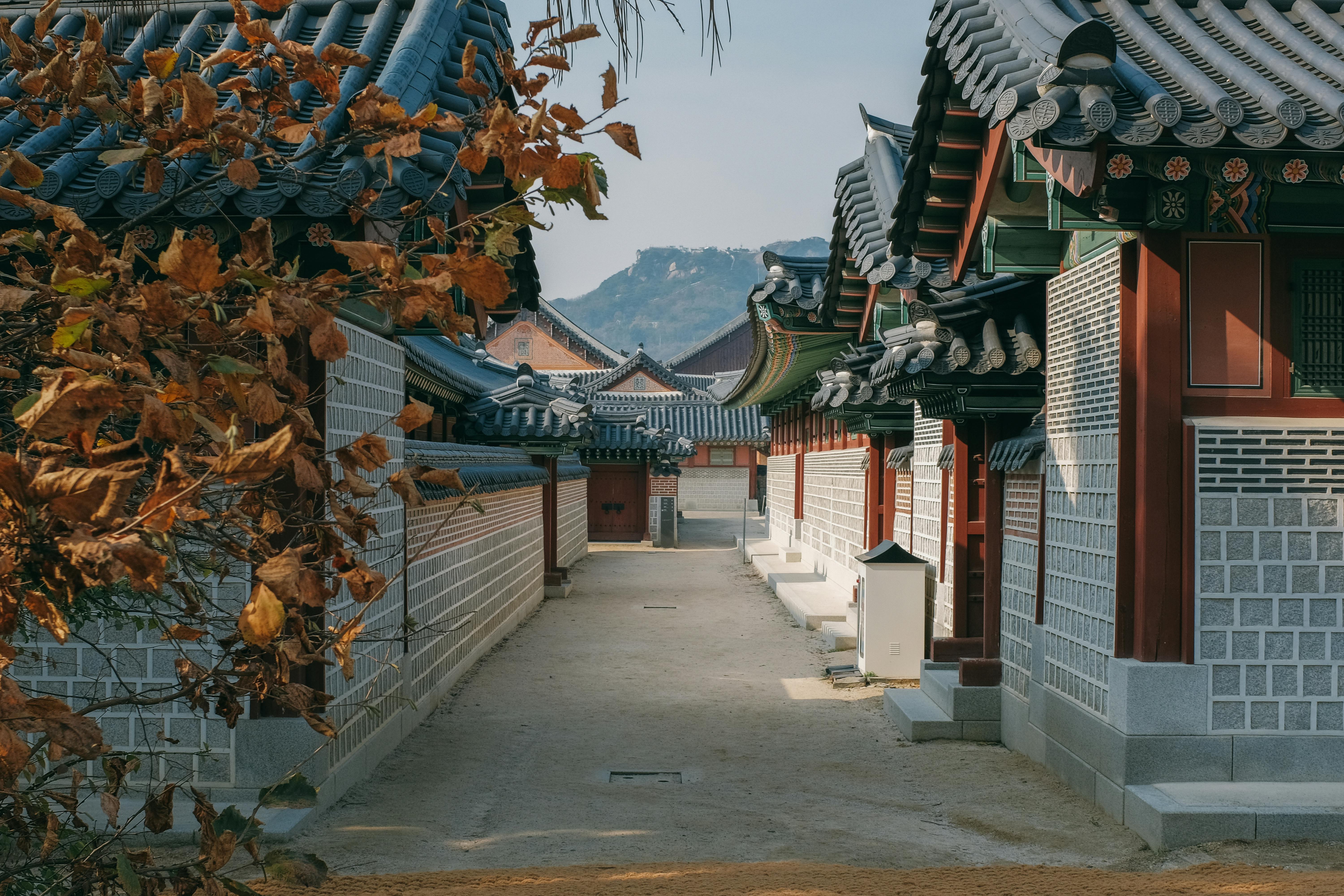 Foto de stock gratuita sobre arquitectura tradicional, callejón, corea ...