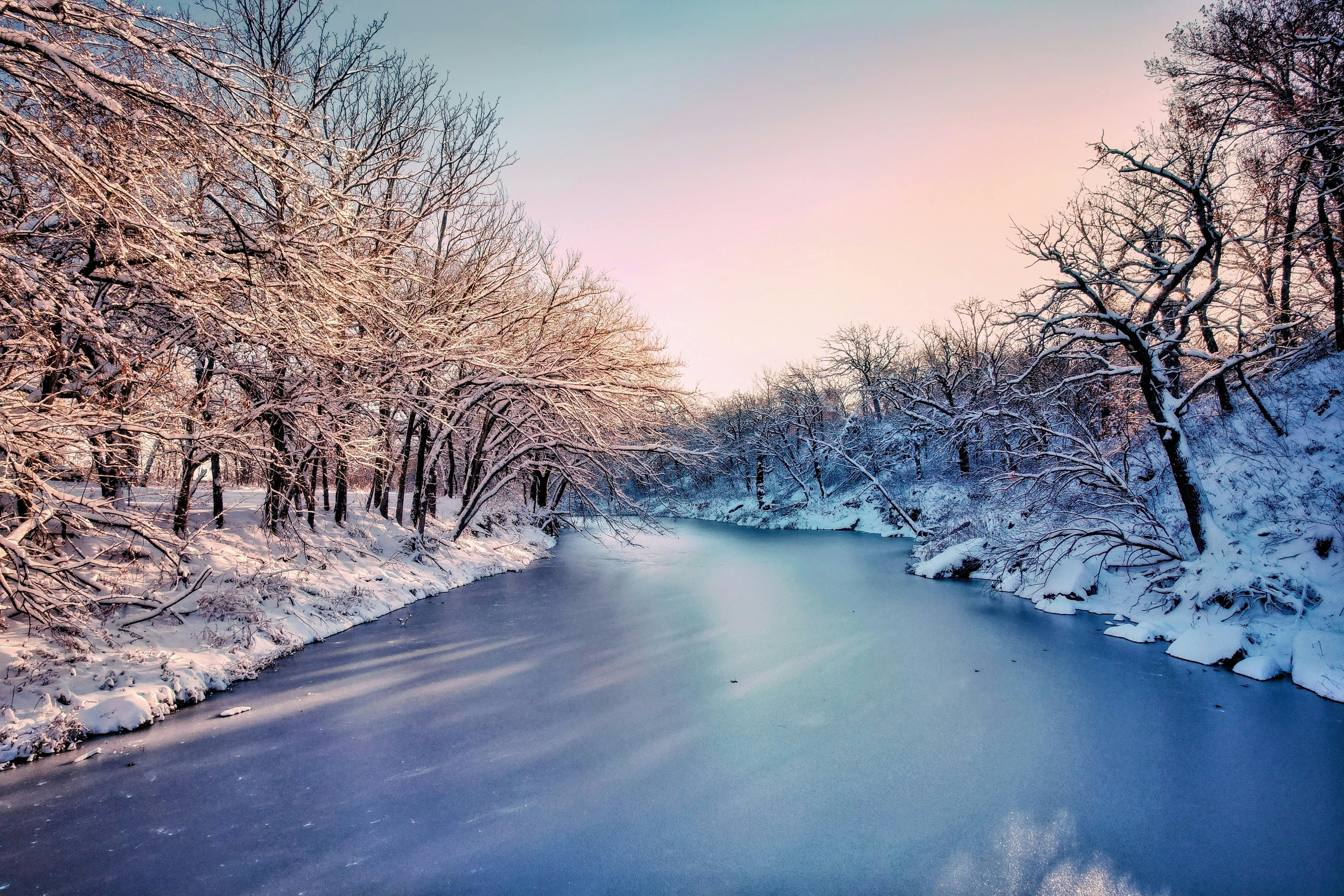 View of a Frozen Body of Water between Snowy Trees · Free Stock Photo