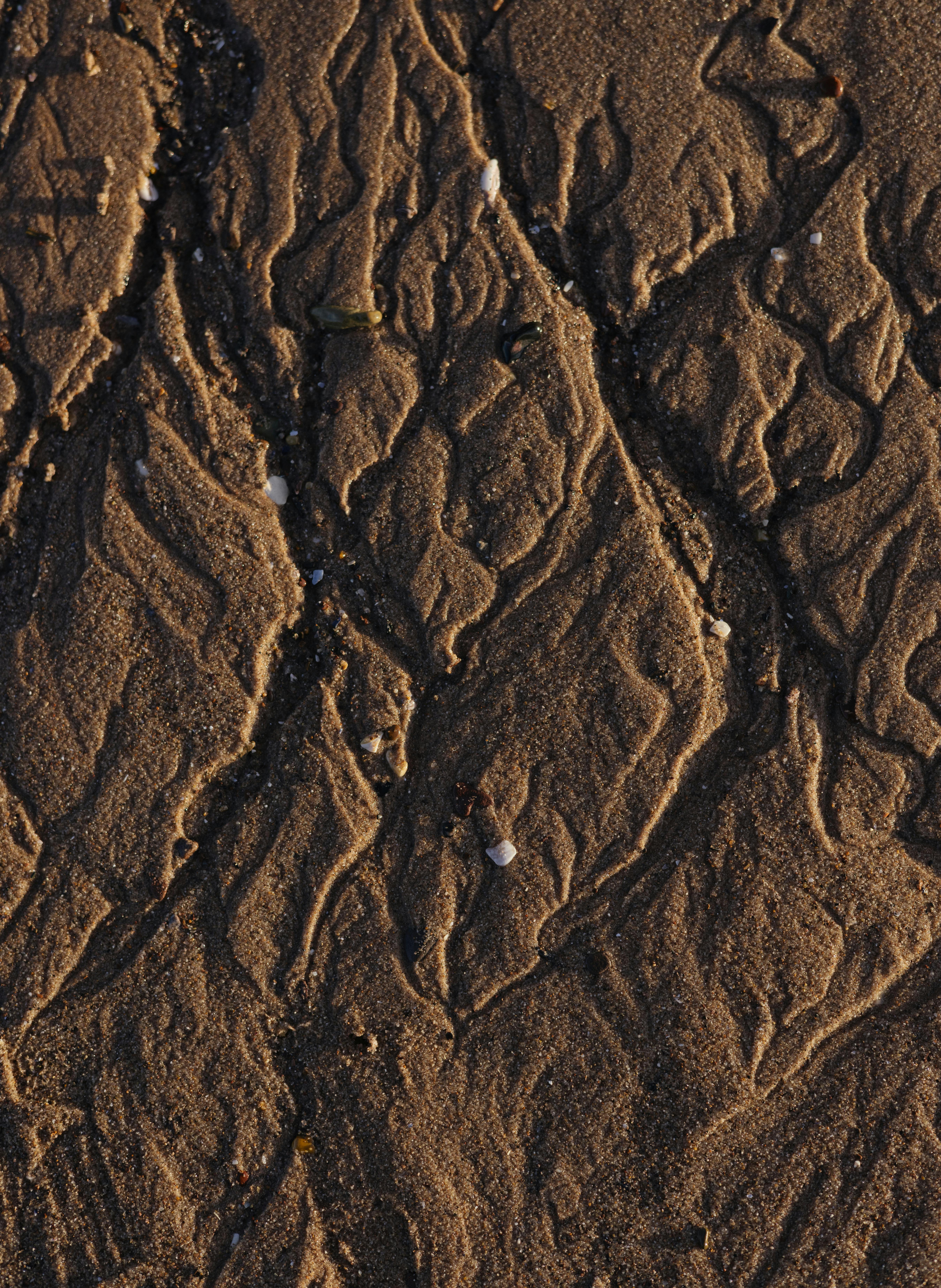 Top View of Sand on the Beach · Free Stock Photo