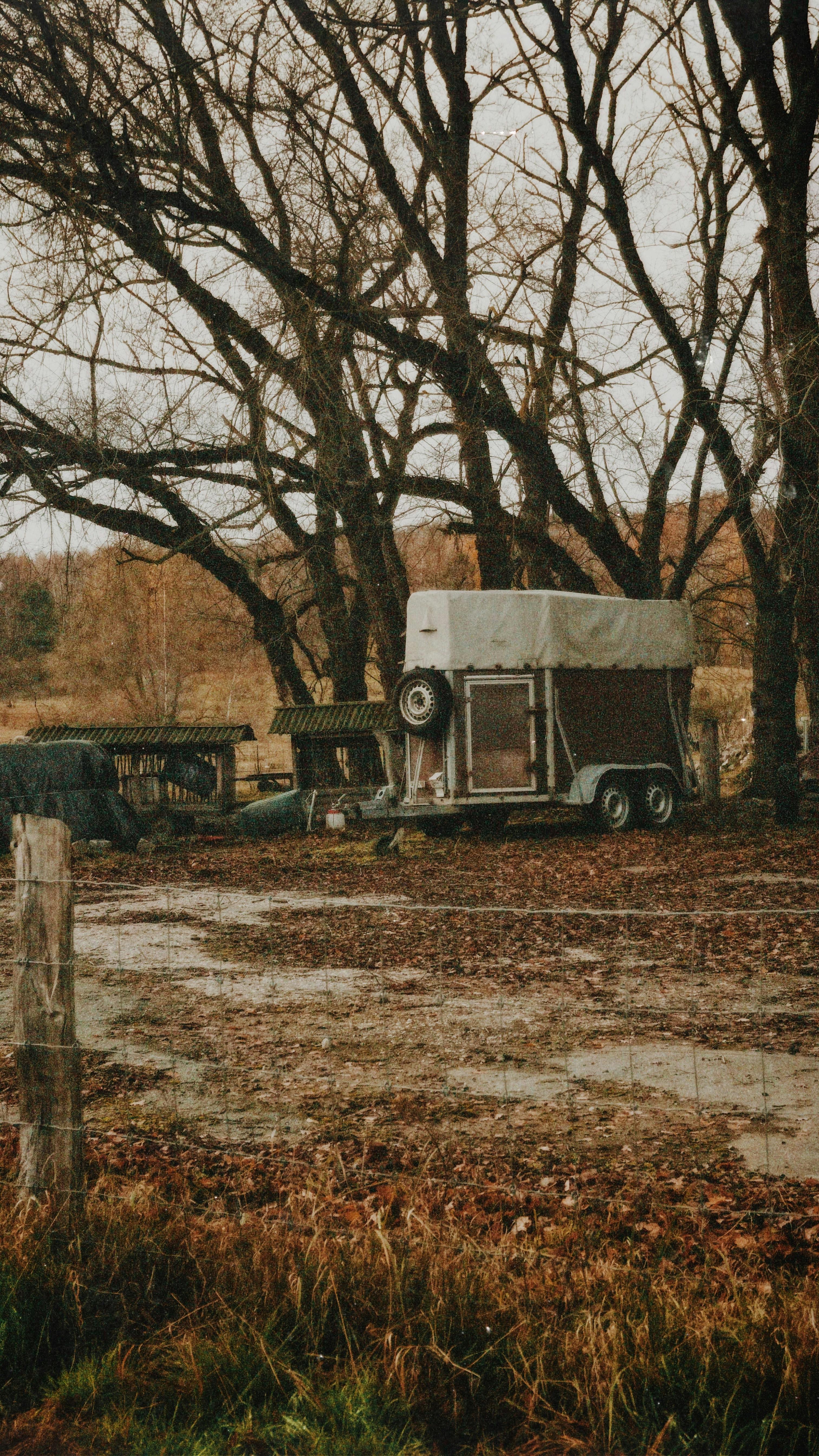 Trailer in the Woods · Free Stock Photo