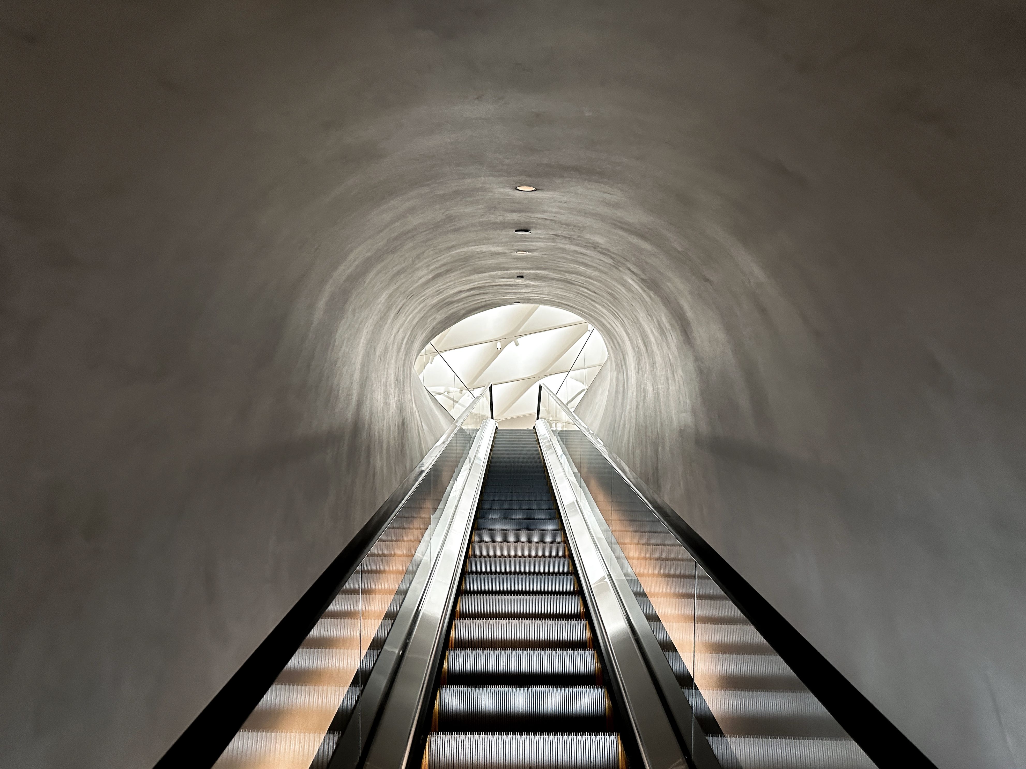 The Broad Photos, Download The BEST Free The Broad Stock Photos & HD Images