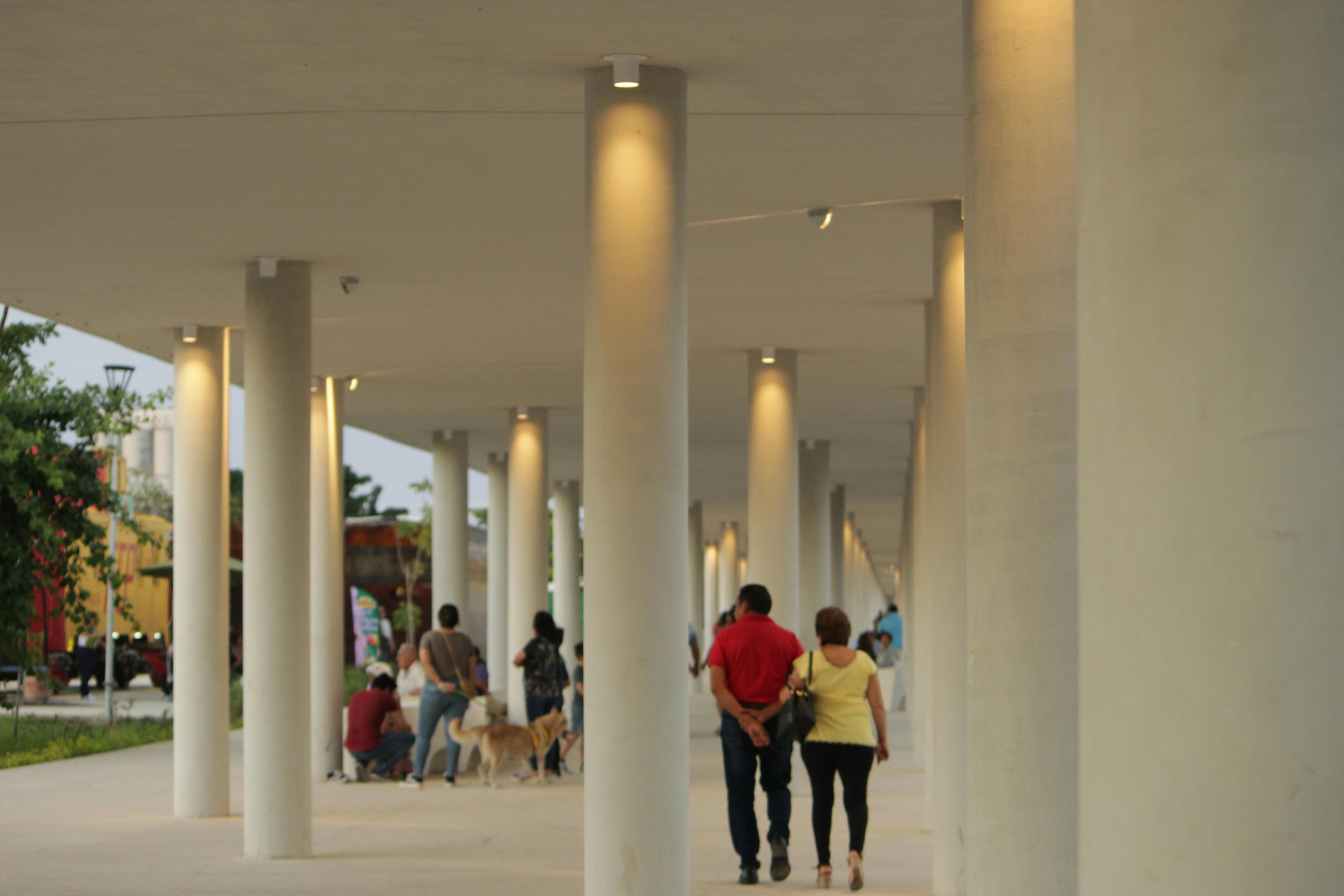 Carmen Lorena Lopez Cabrera - 摄影