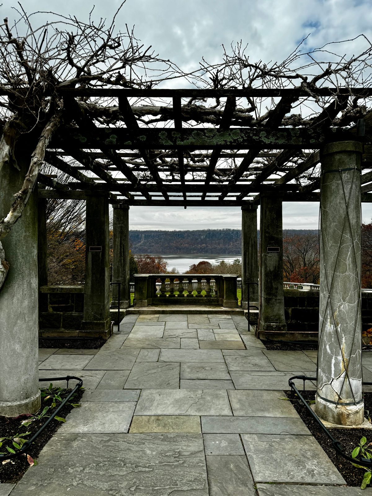Pergola Photos, Download The BEST Free Pergola Stock Photos & HD Images