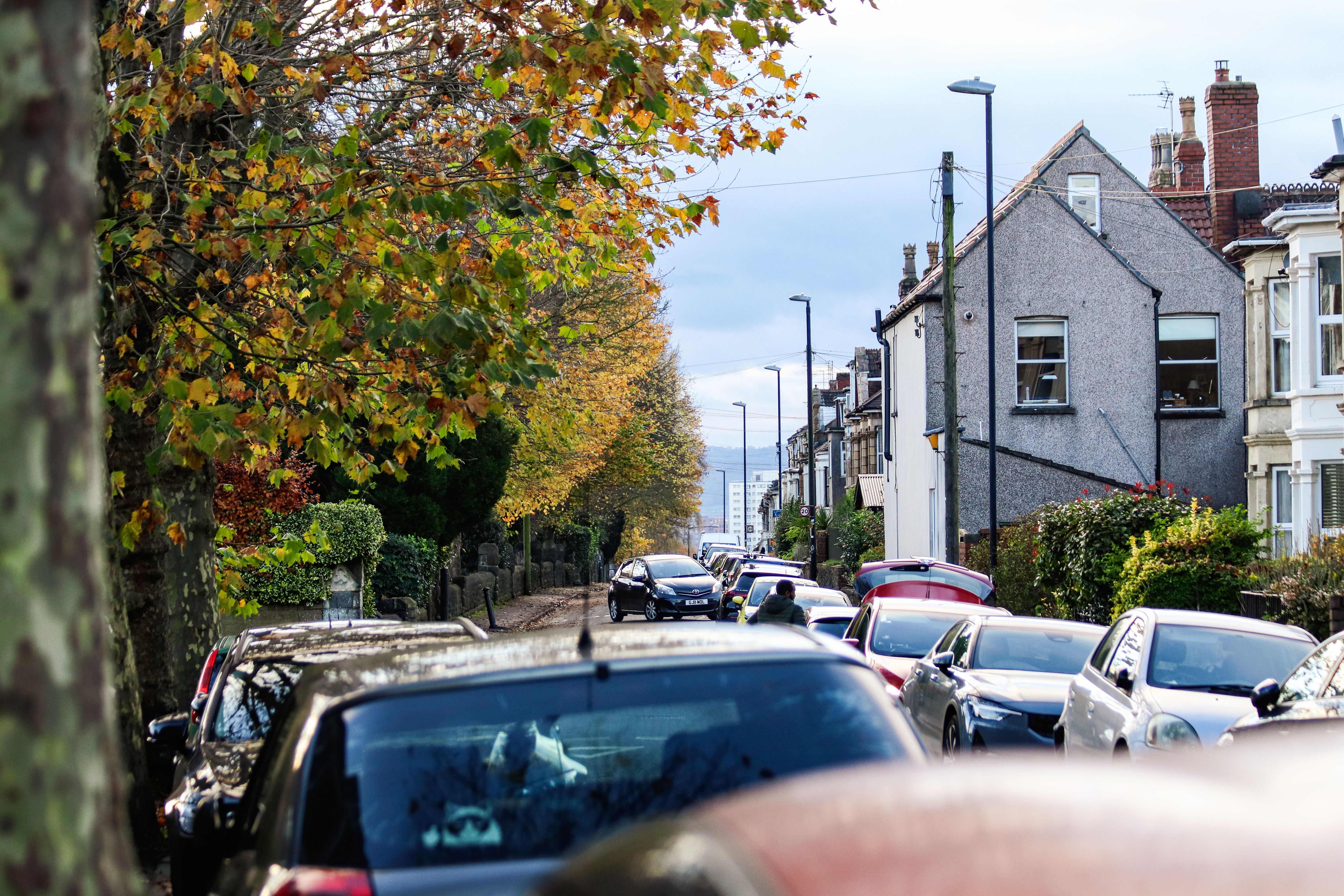 Cars Parked along the Street with Houses and Autumnal Trees · Free ...