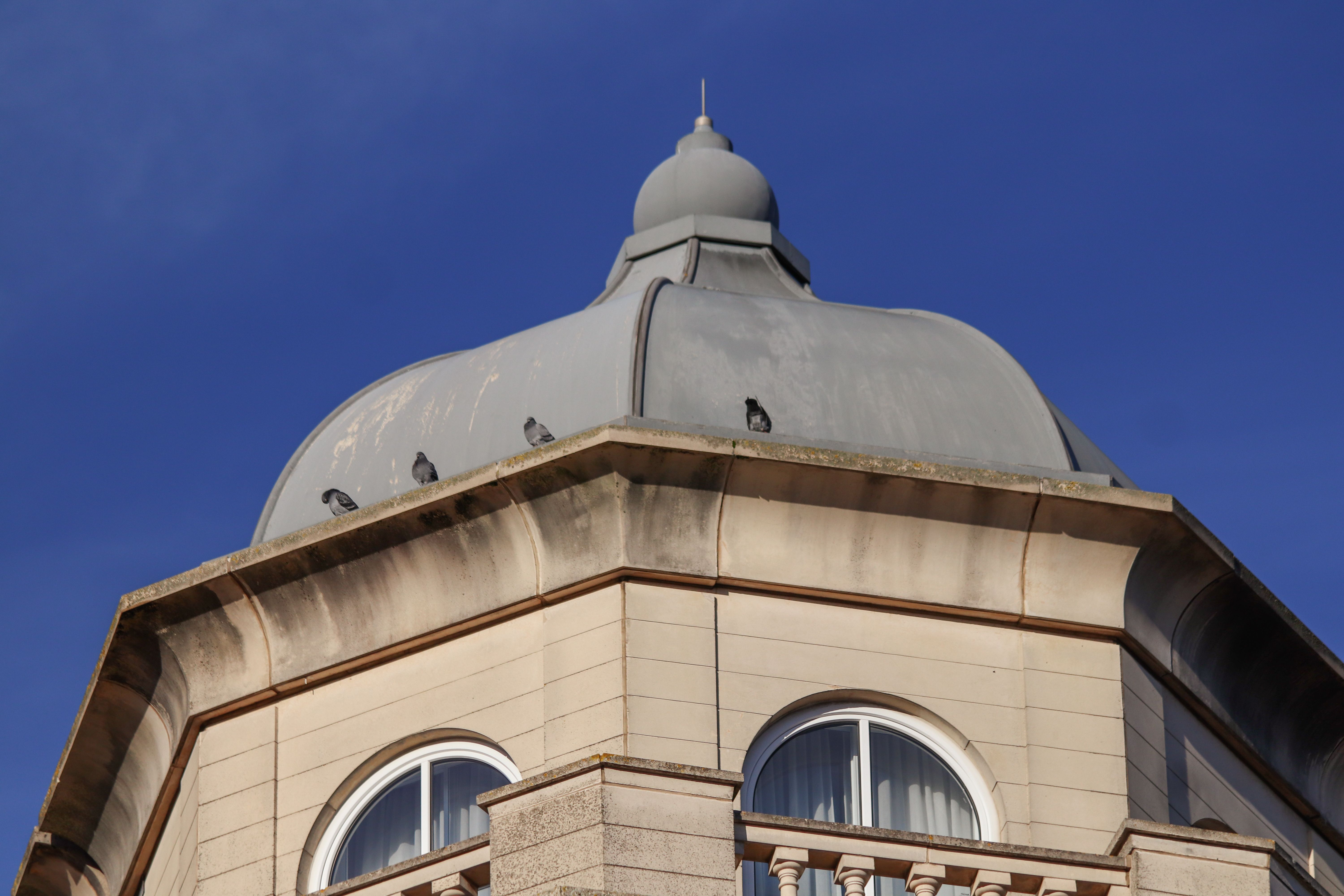Top Of A Building Photos, Download The BEST Free Top Of A Building ...