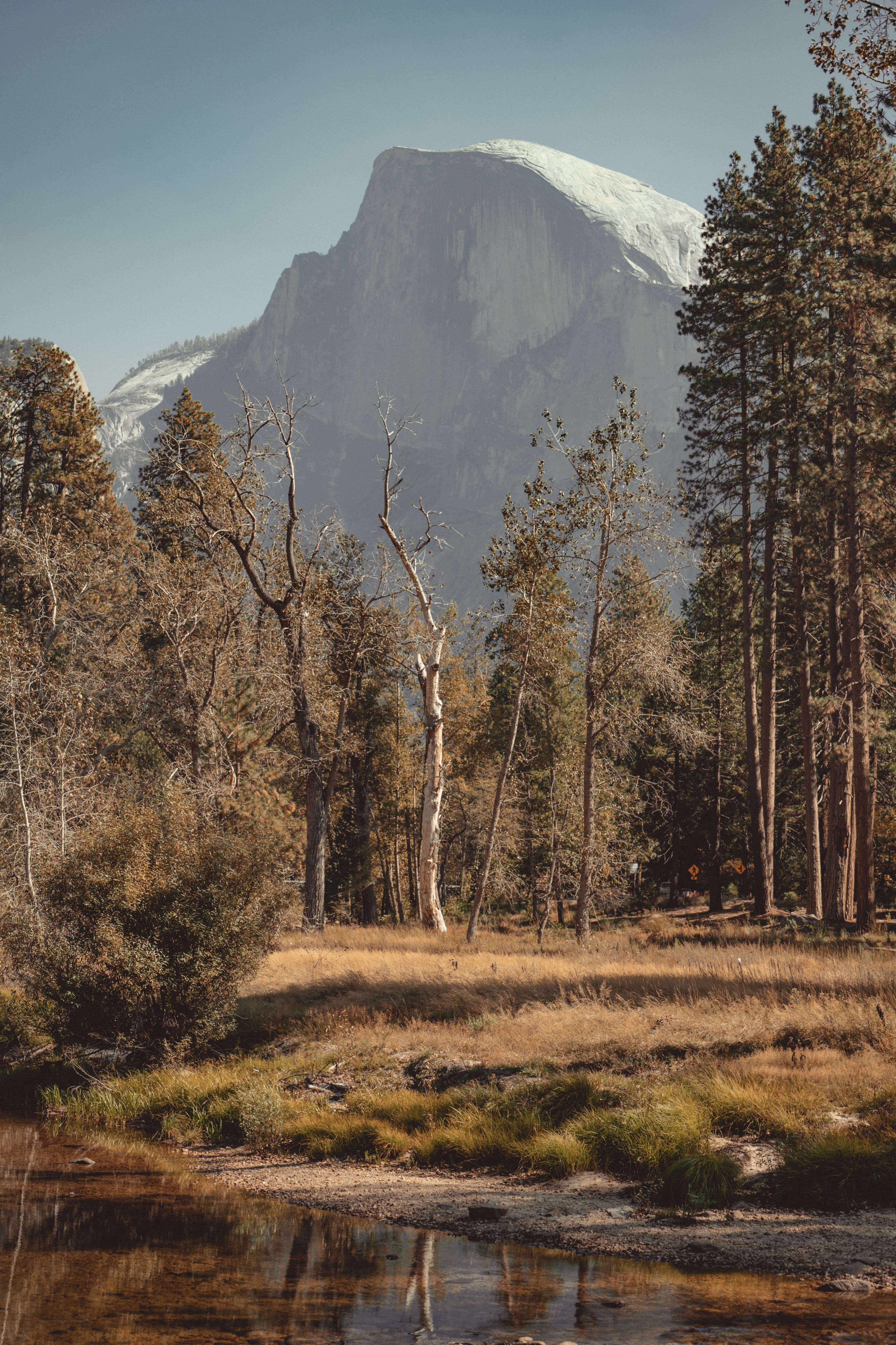 Scenic View of a Field, Trees and Mountain in the Yosemite National ...