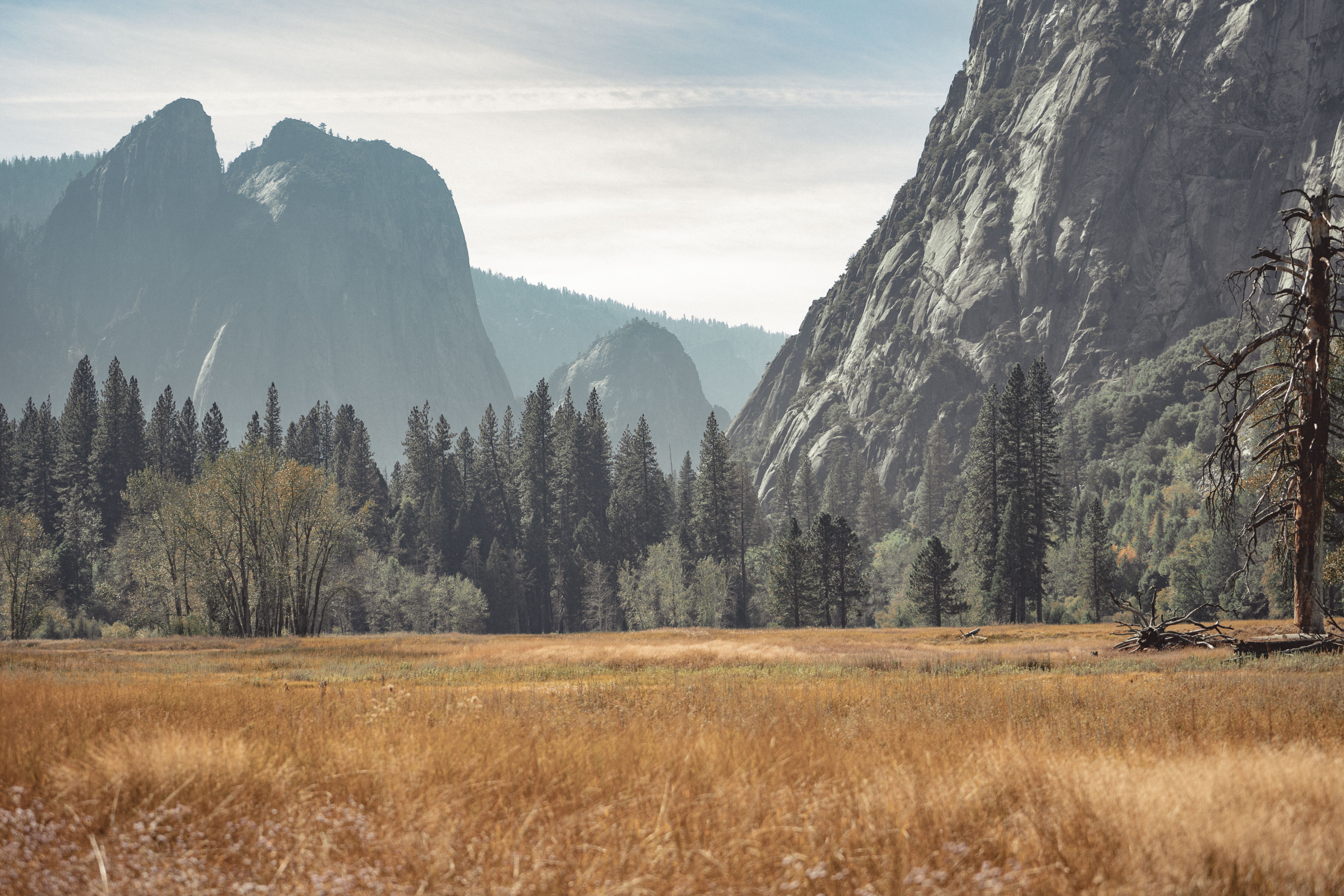 Scenic View of a Field, Trees and Mountains in the Yosemite National ...