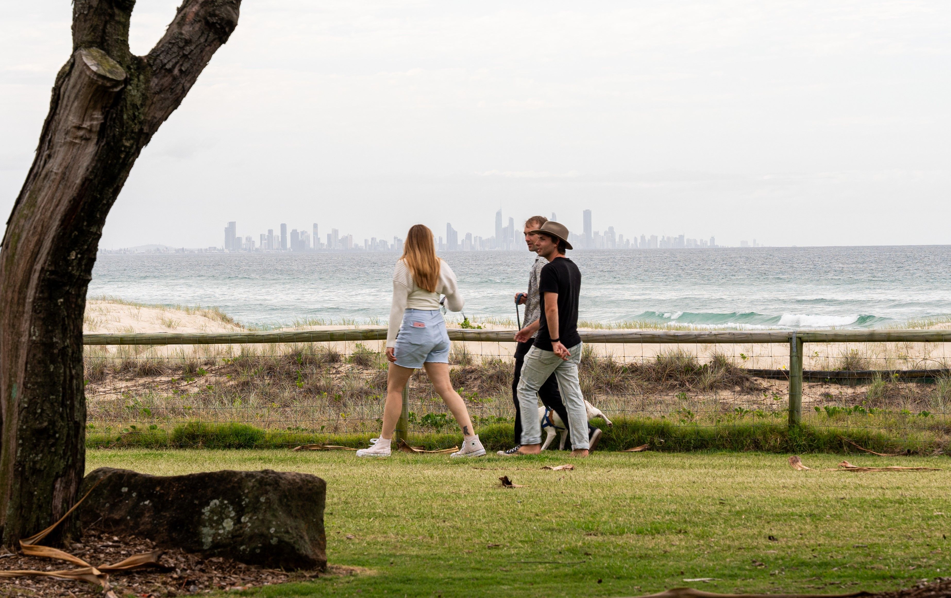 People Walking on an Island, and a Tree Trunk in the Foreground · Free ...