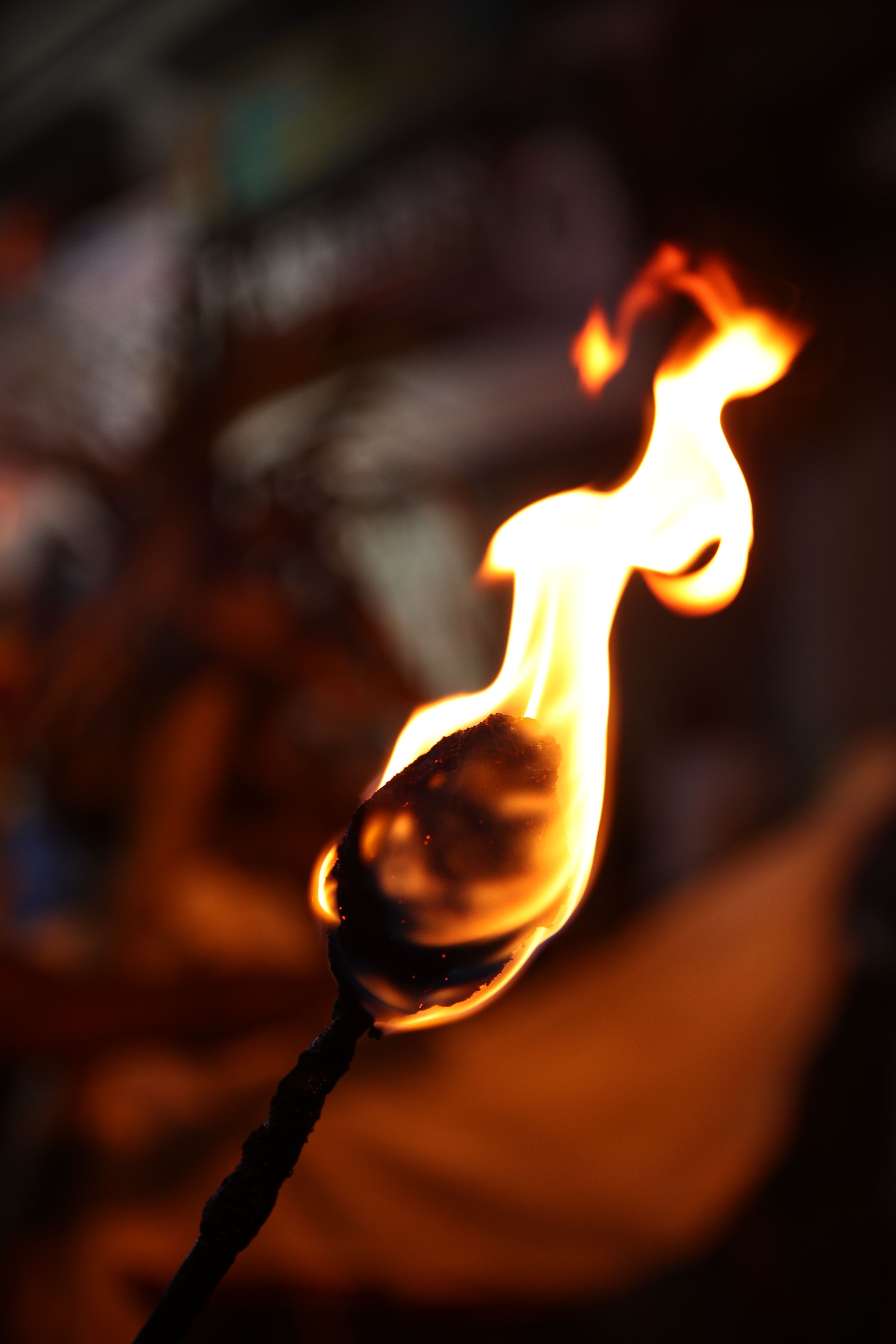 Forrest Fire Photos, Download The BEST Free Forrest Fire Stock Photos ...