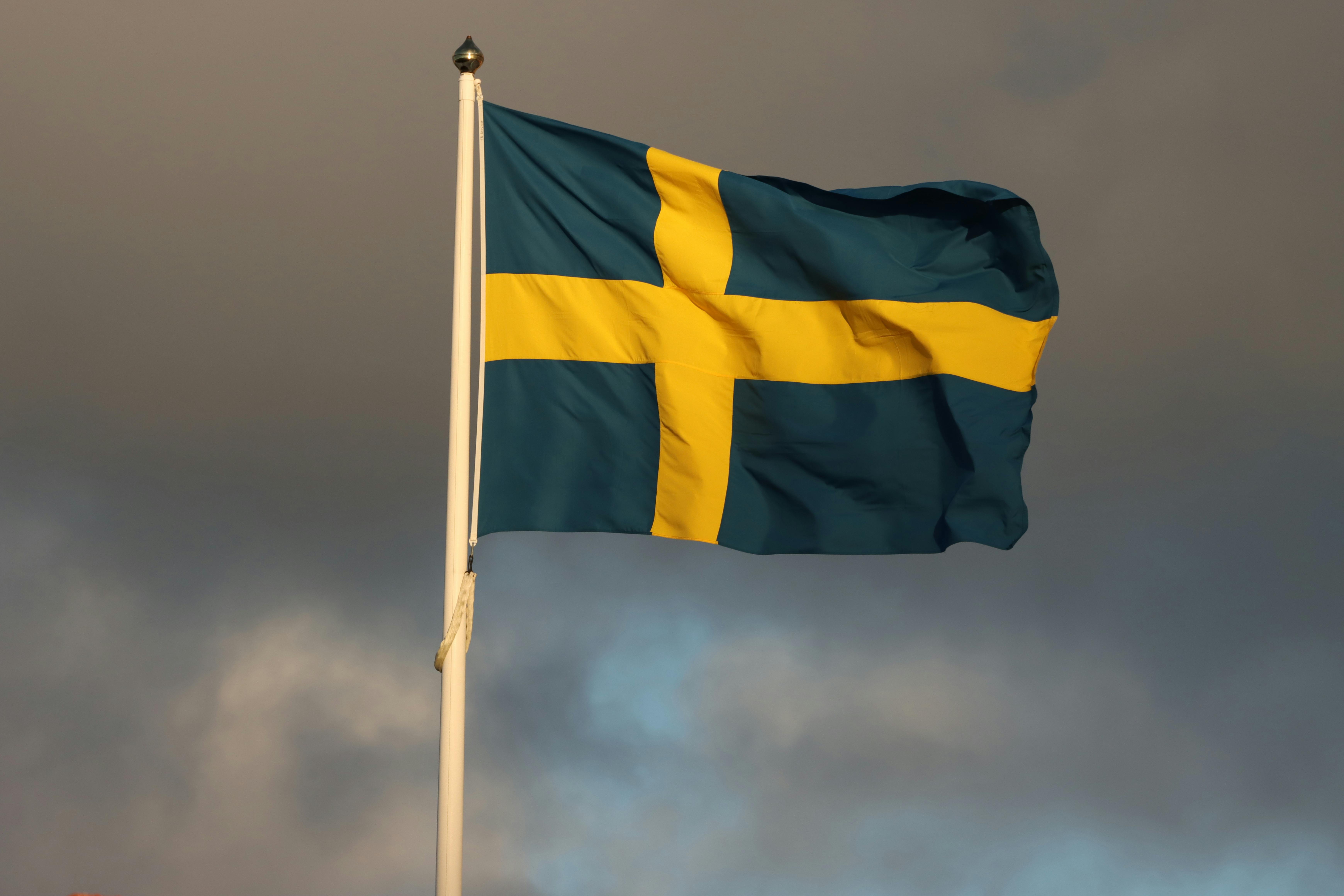 Swedish Flag Photos, Download The BEST Free Swedish Flag Stock Photos ...