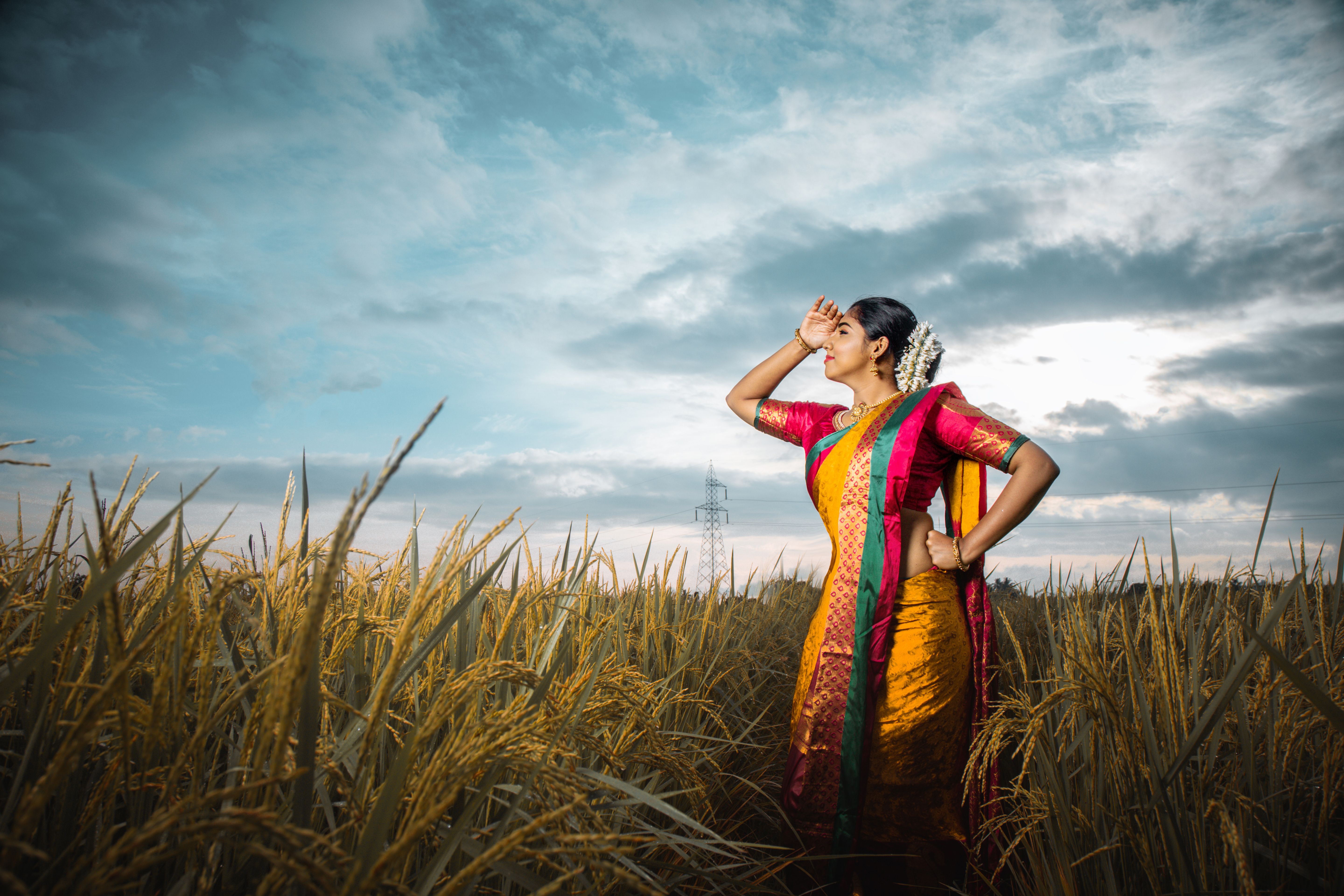 Indian Summer Photos, Download The BEST Free Indian Summer Stock Photos ...