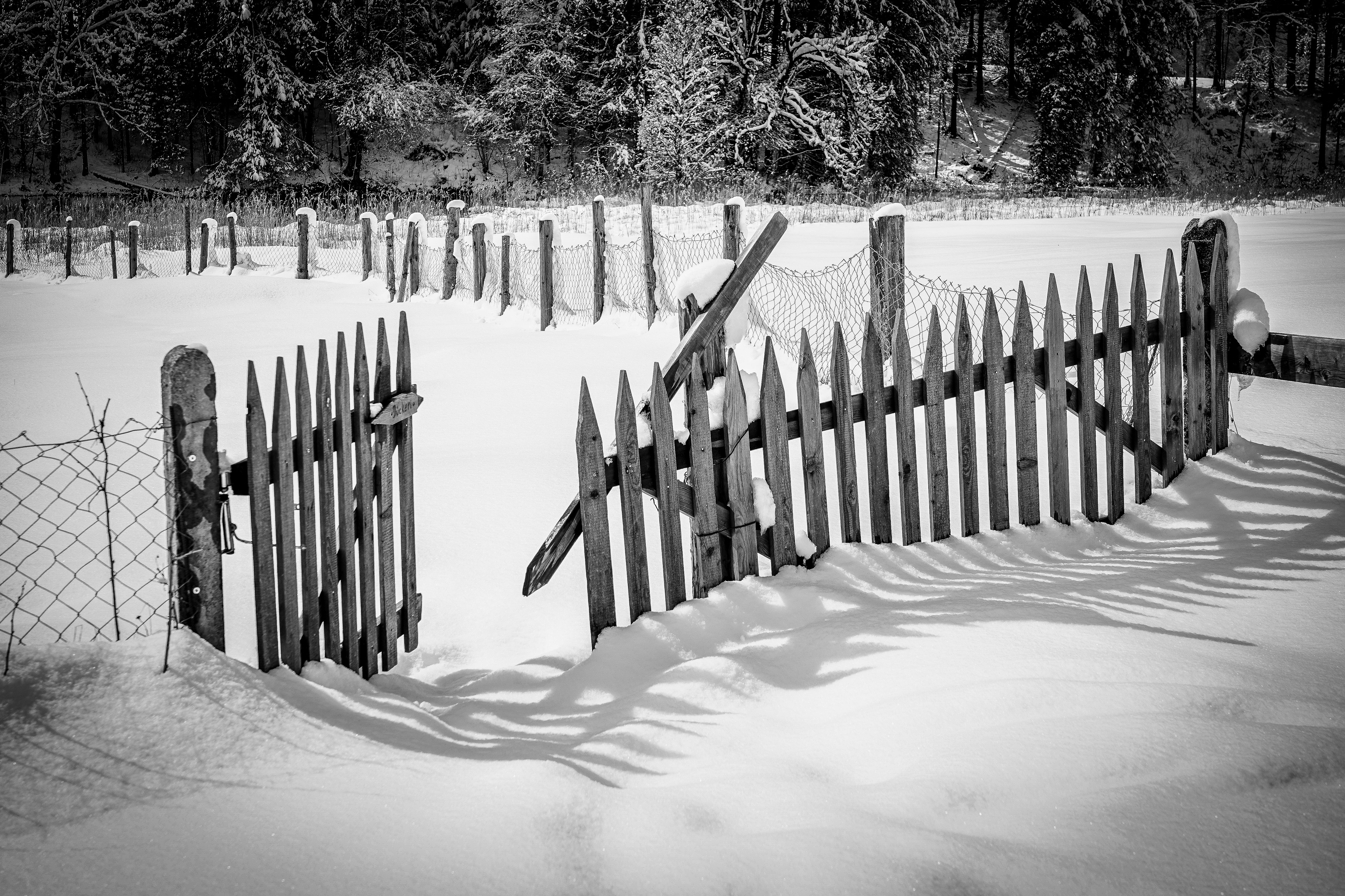 Black and White Photo of a Wooden Fence with an Open Gate and Ground ...