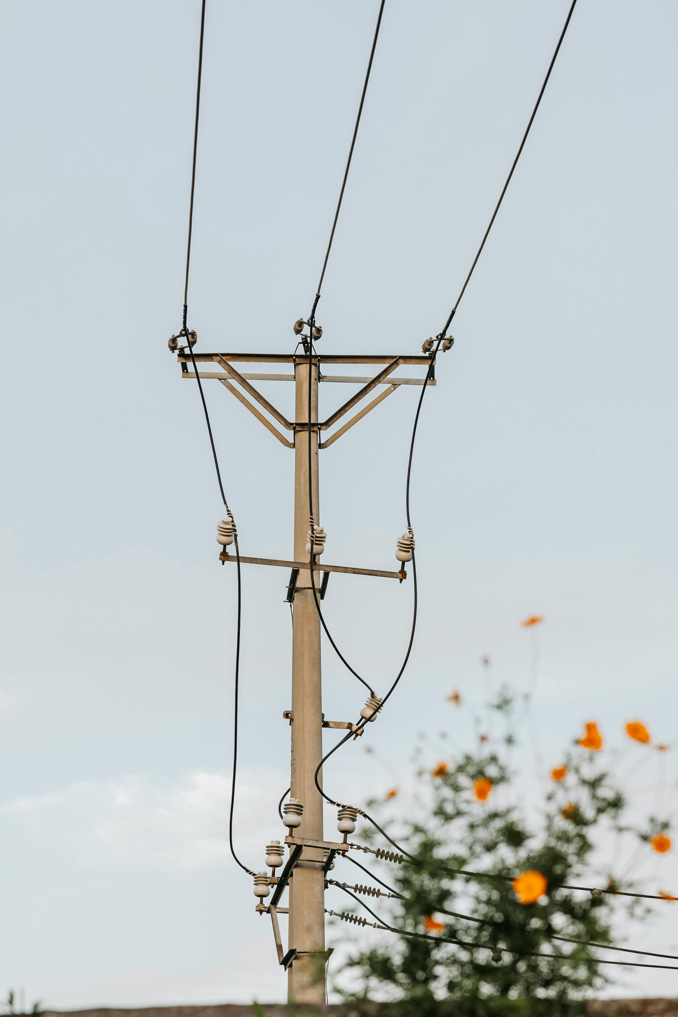 Wooden Electric Post and Power Line · Free Stock Photo