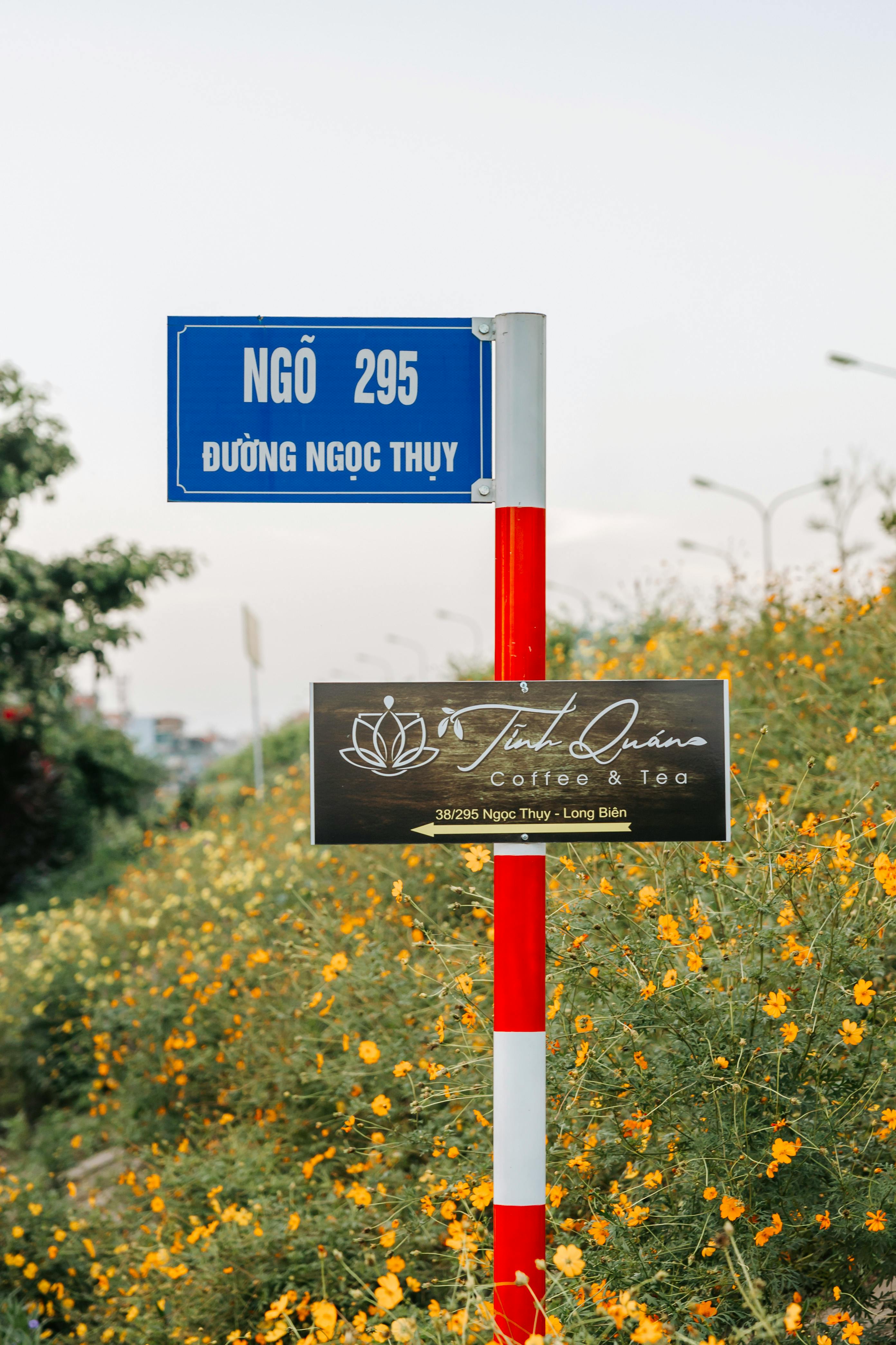 Signs on Post · Free Stock Photo