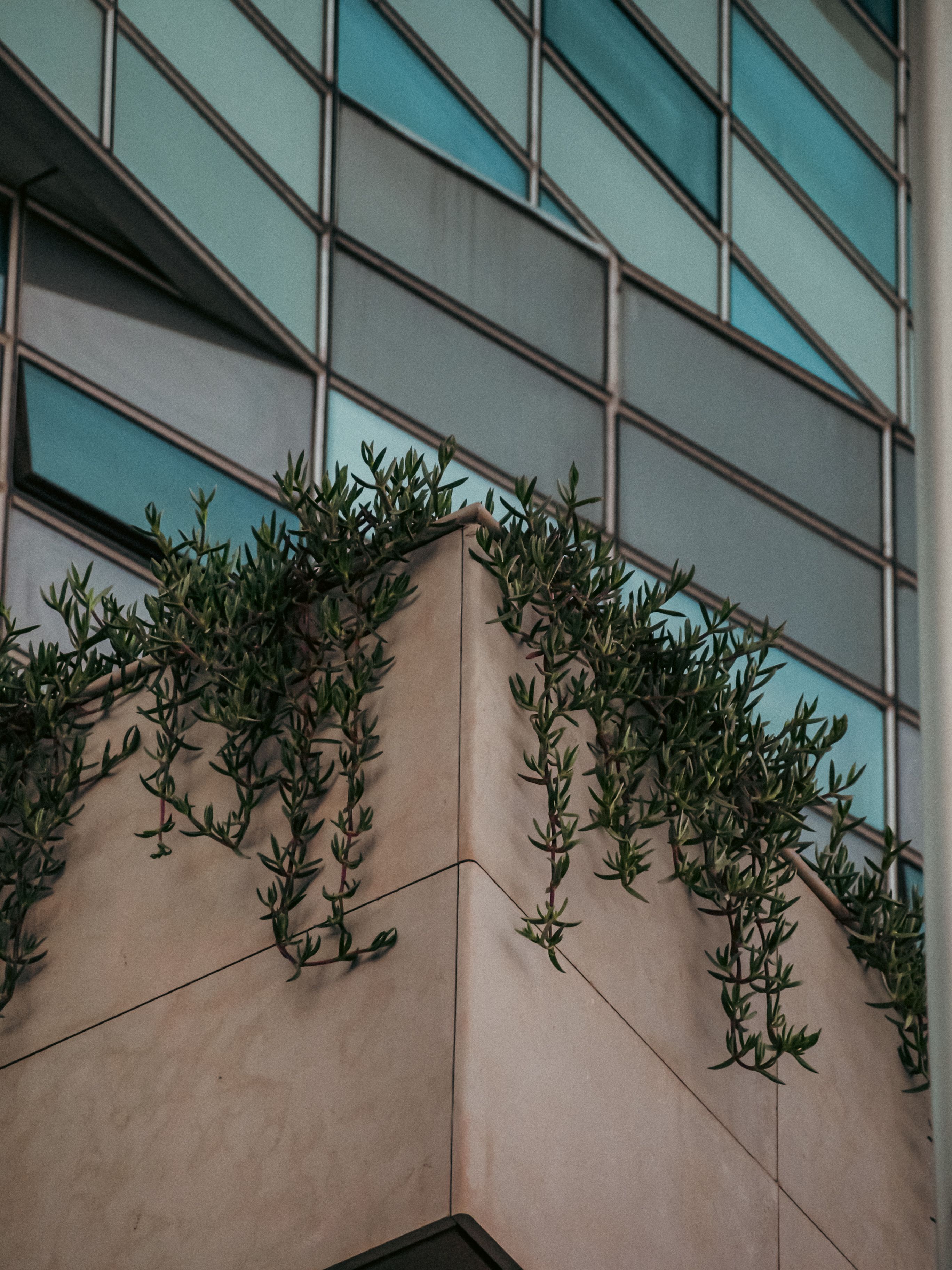 Vines Hanging From the Terrace of a Futuristic Building · Free Stock Photo