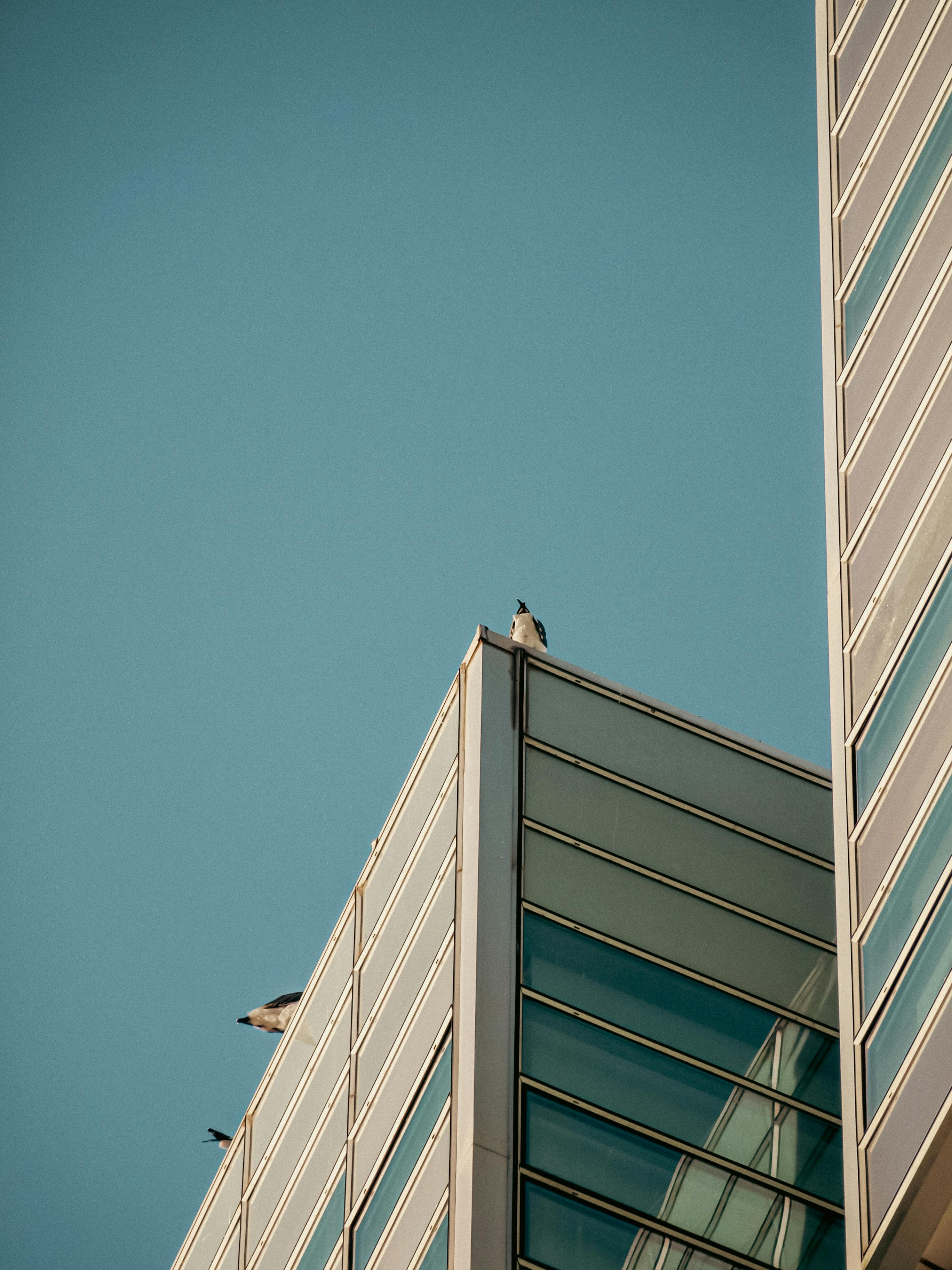 Edging Photos, Download The BEST Free Edging Stock Photos & HD Images