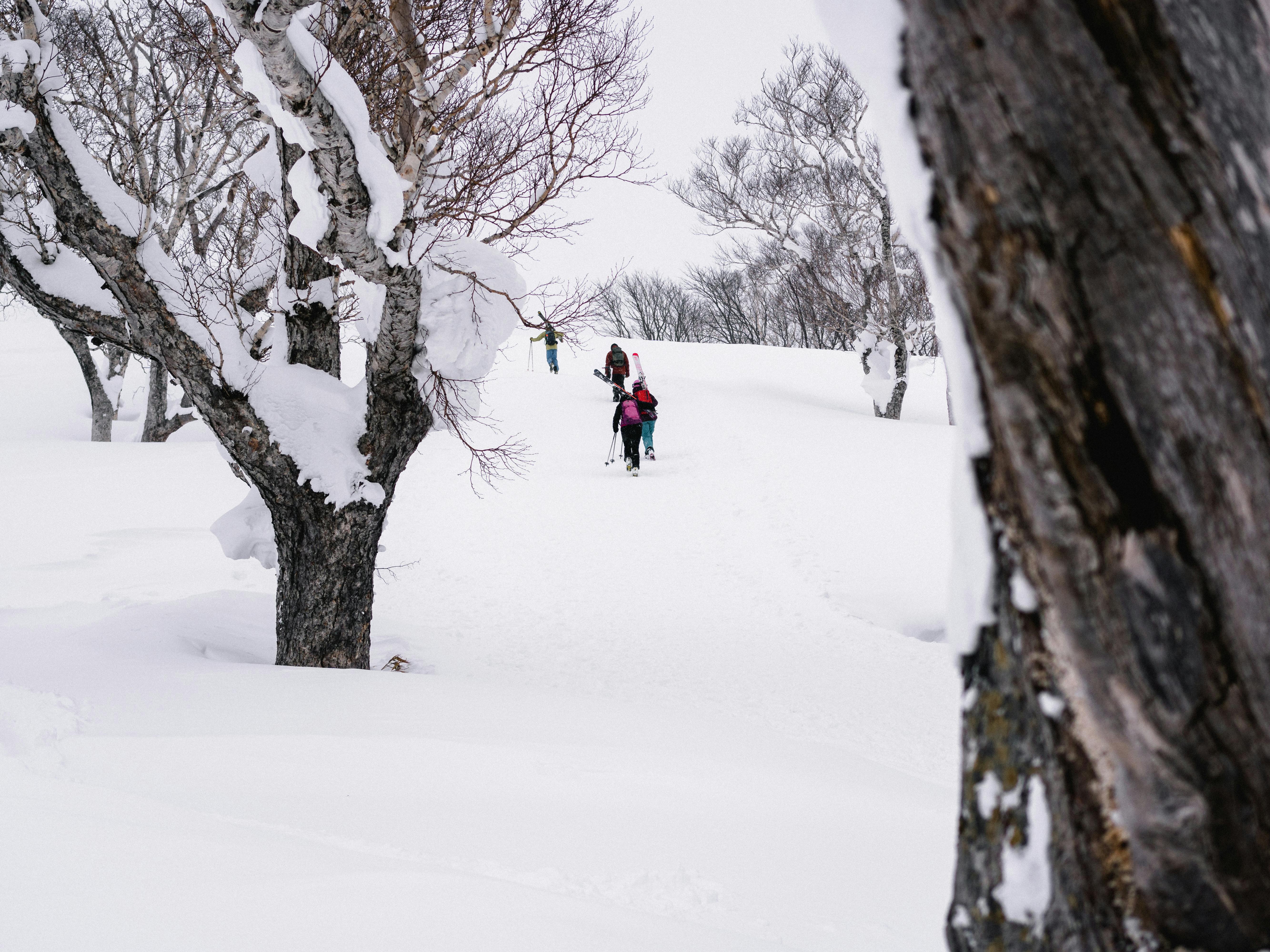People Walking on Snow · Free Stock Photo
