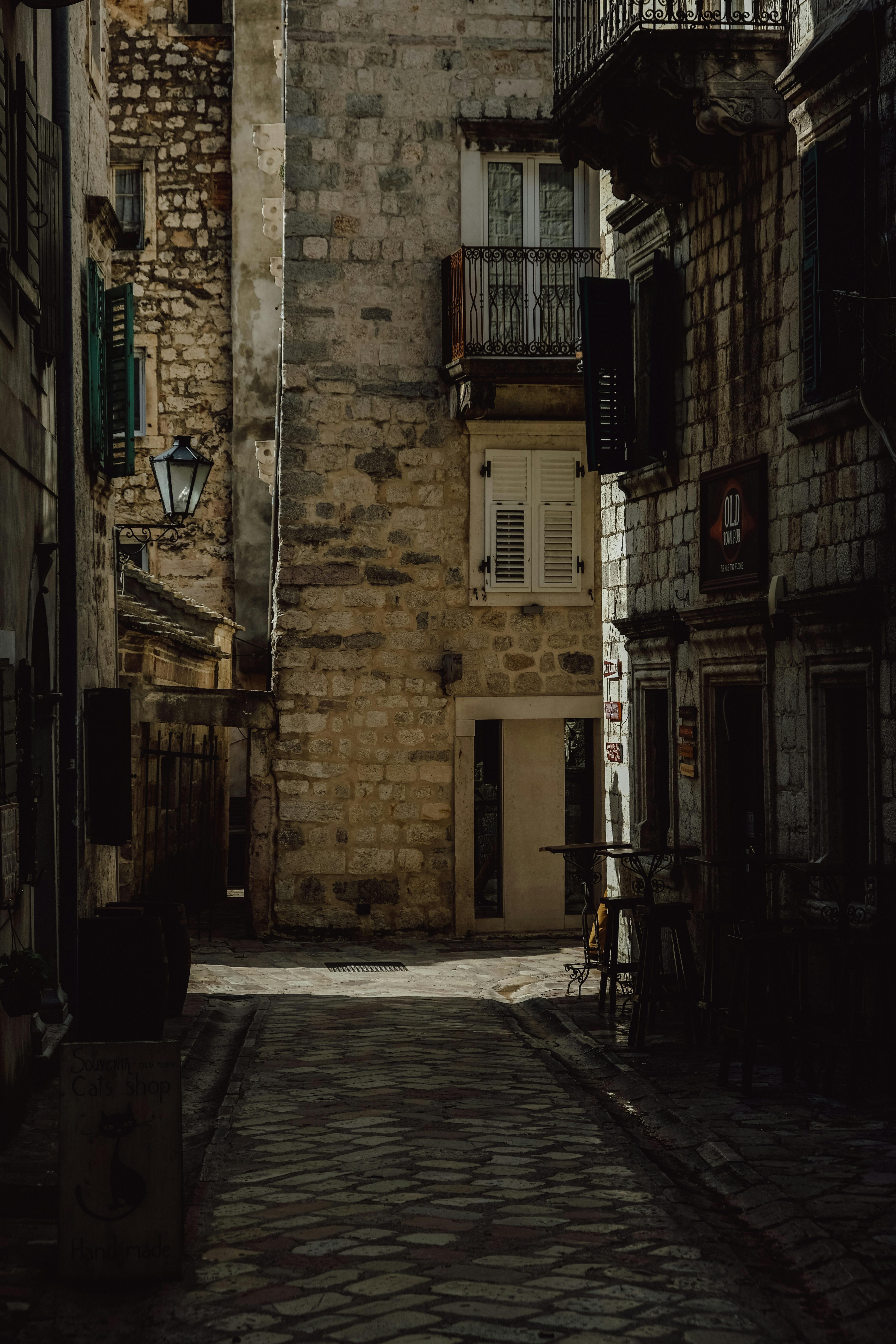 Trees and Shadow over Street in Town · Free Stock Photo