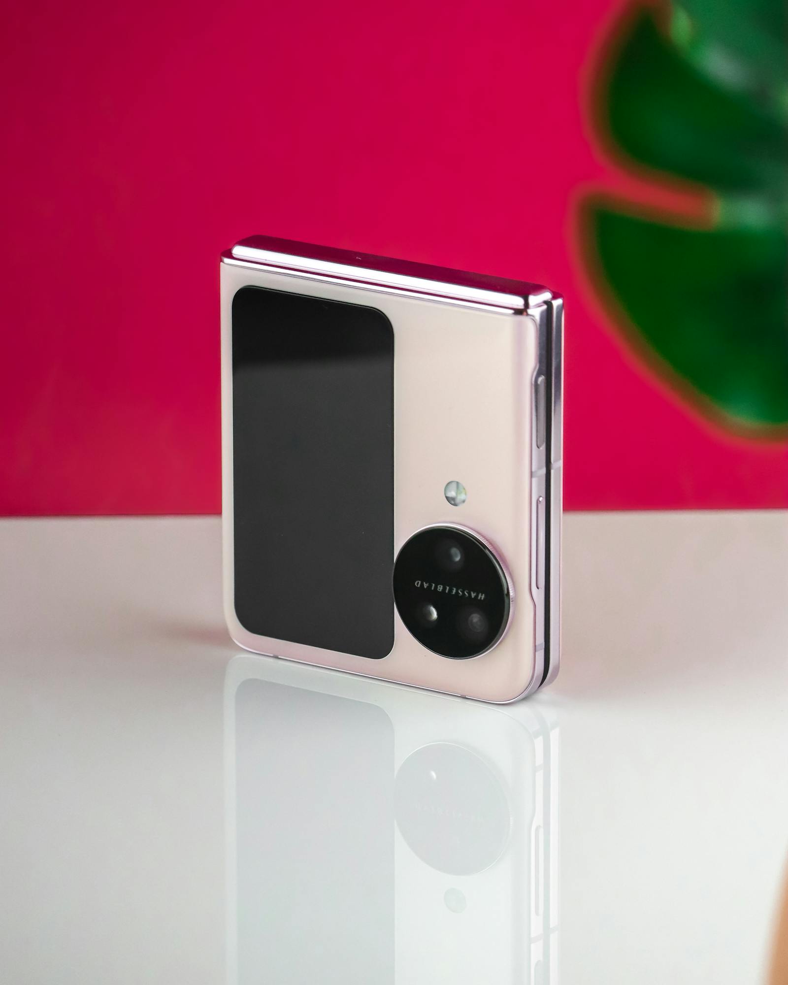 Oppo Photos, Download The BEST Free Oppo Stock Photos & HD Images