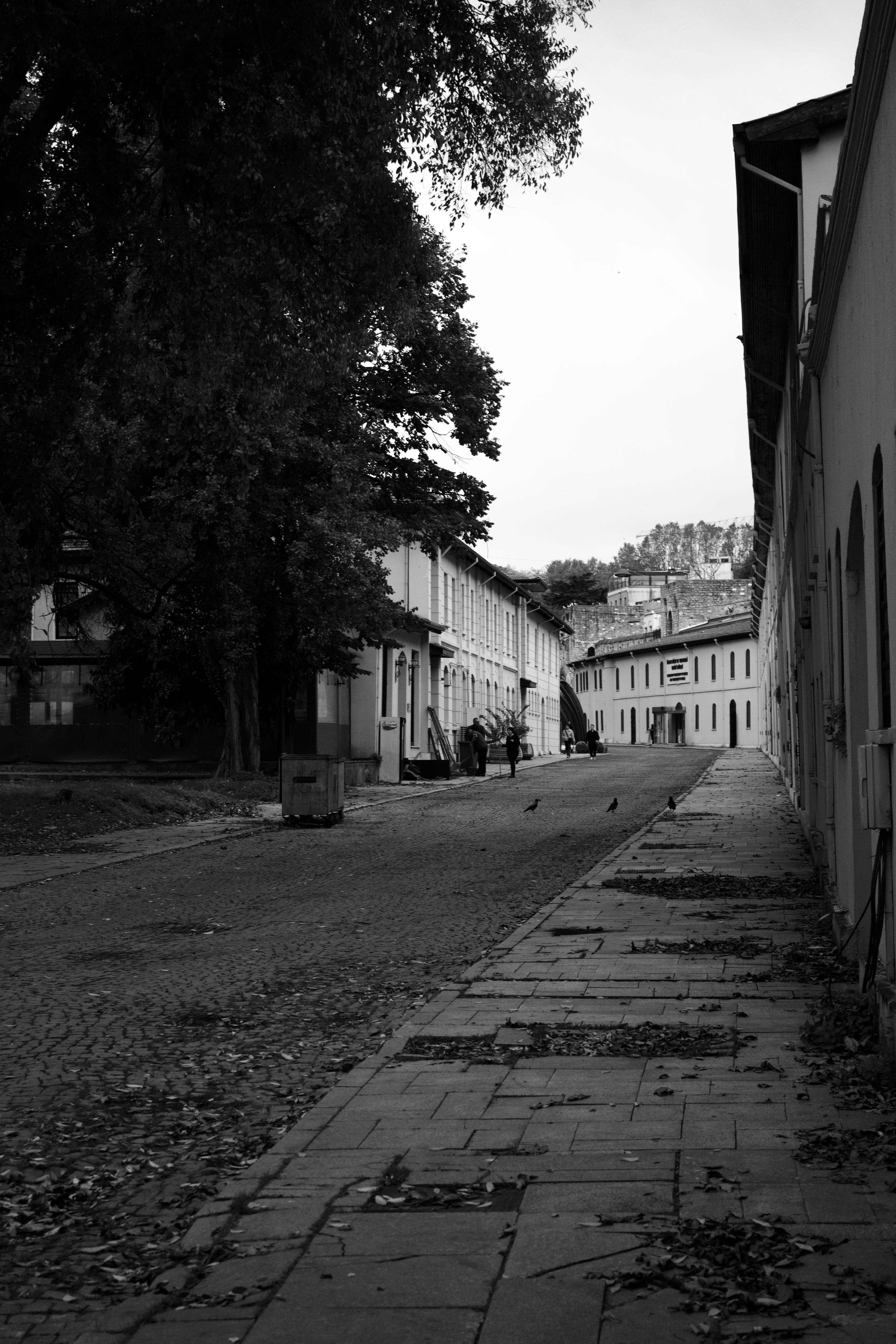 Black and White Photo of an Empty Sloping City Street · Free Stock Photo