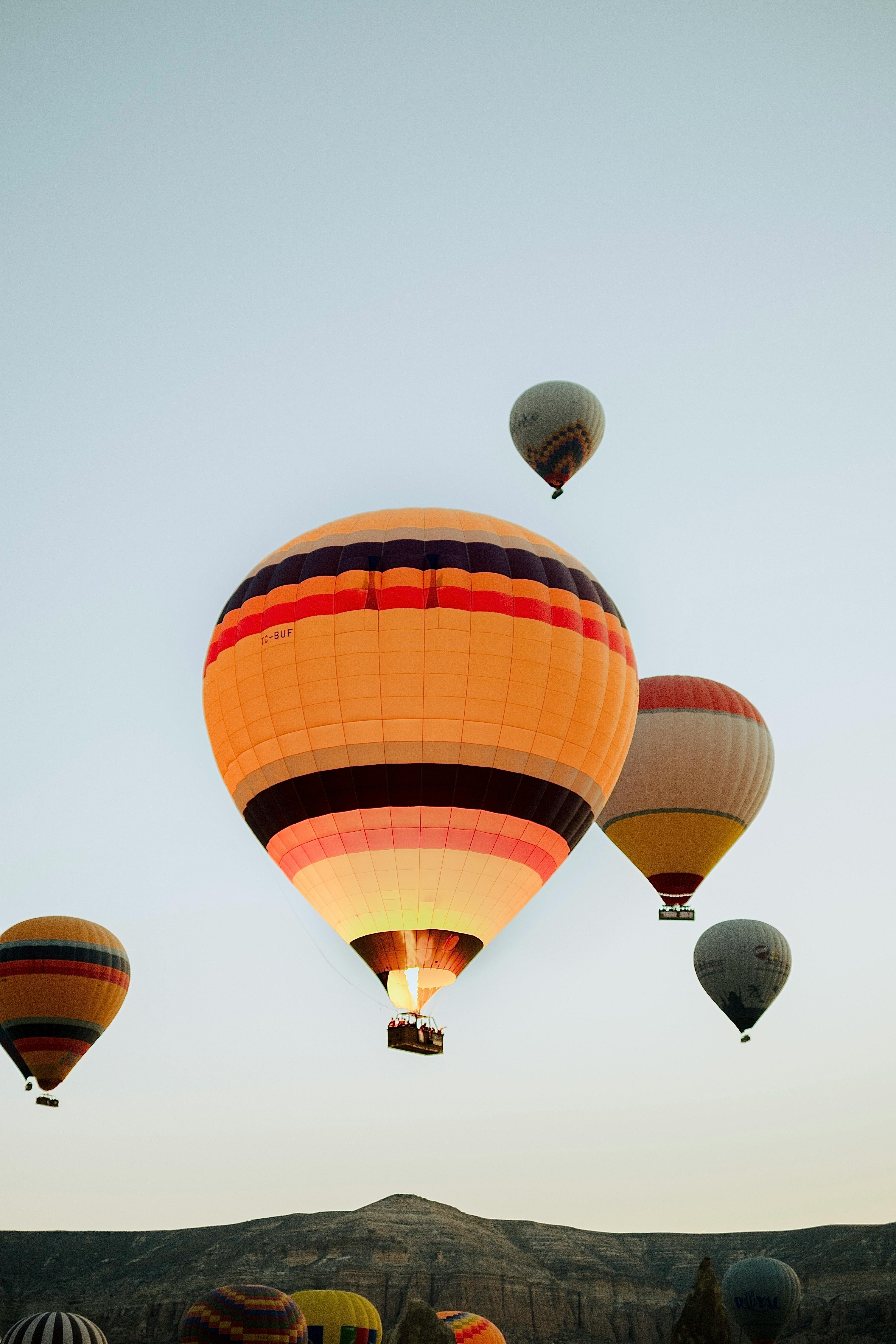 Rising Hot Air Balloons · Free Stock Photo