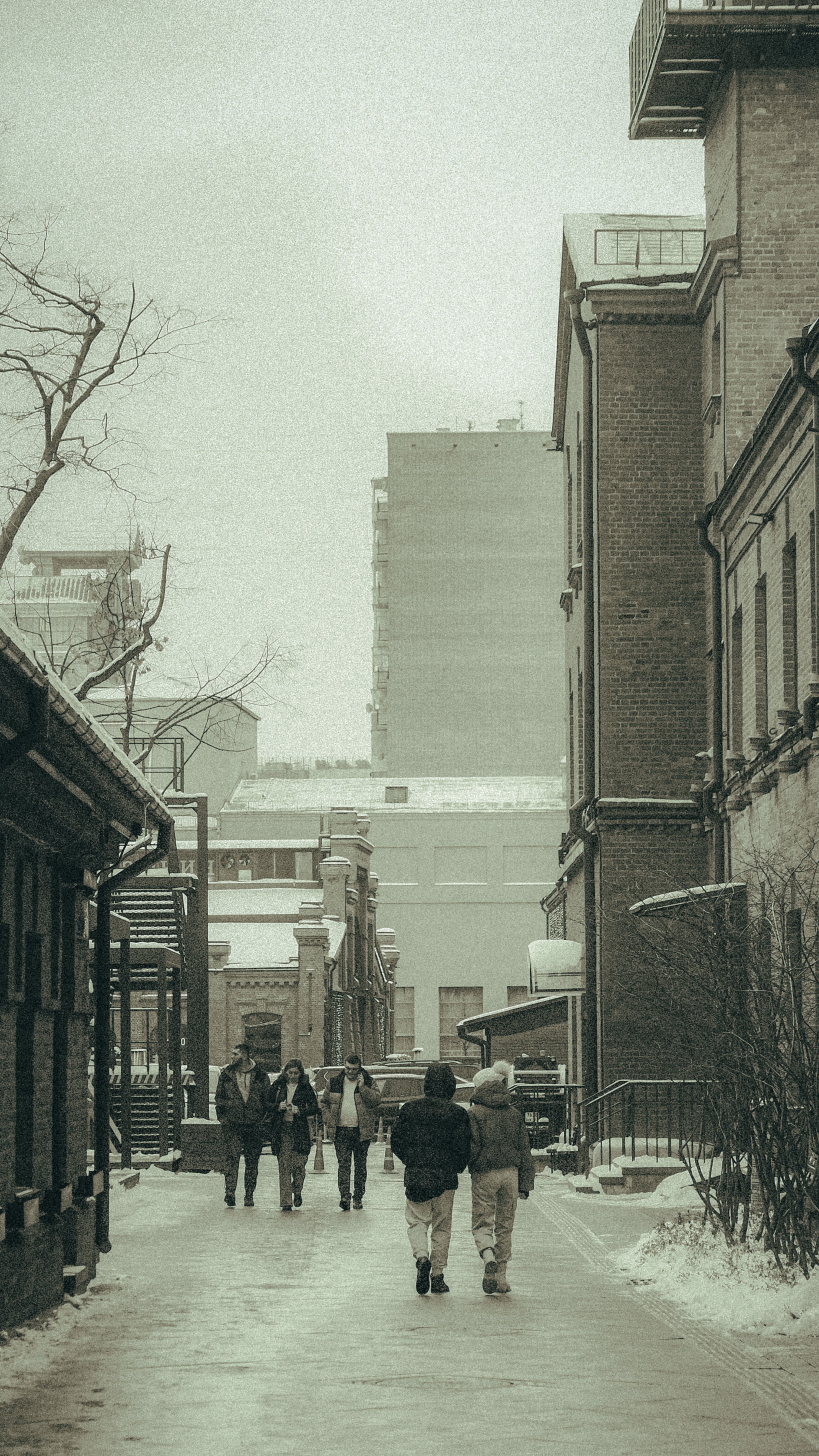 Winter Walk in Foggy Estonian Neighborhood · Free Stock Photo