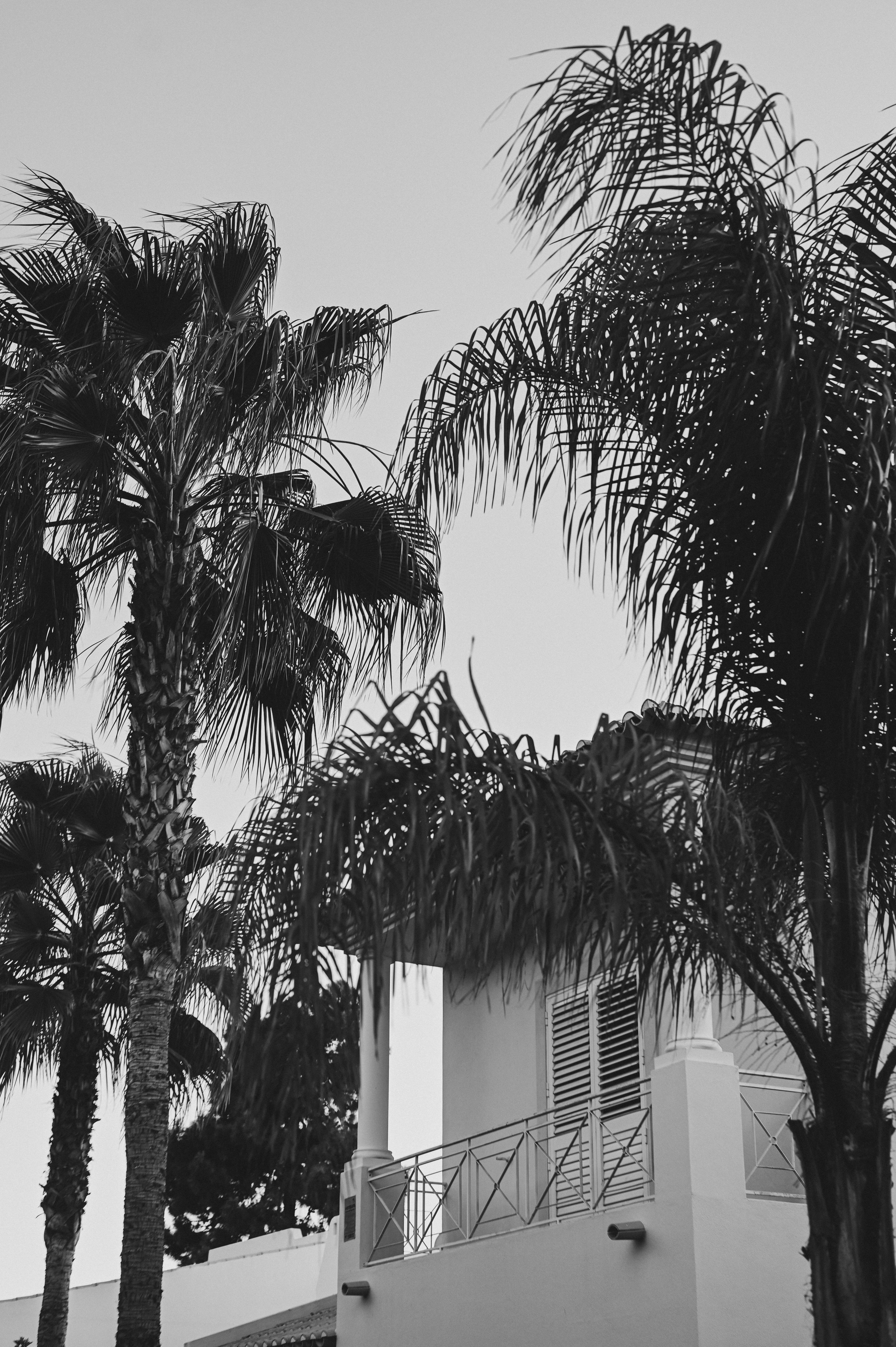 Kadjan Villa Photos, Download The BEST Free Kadjan Villa Stock Photos ...