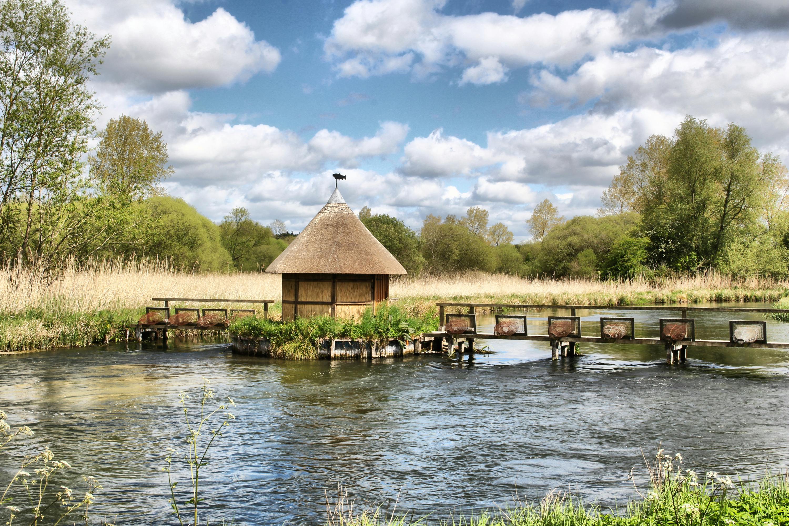 Hut by River in Countryside · Free Stock Photo