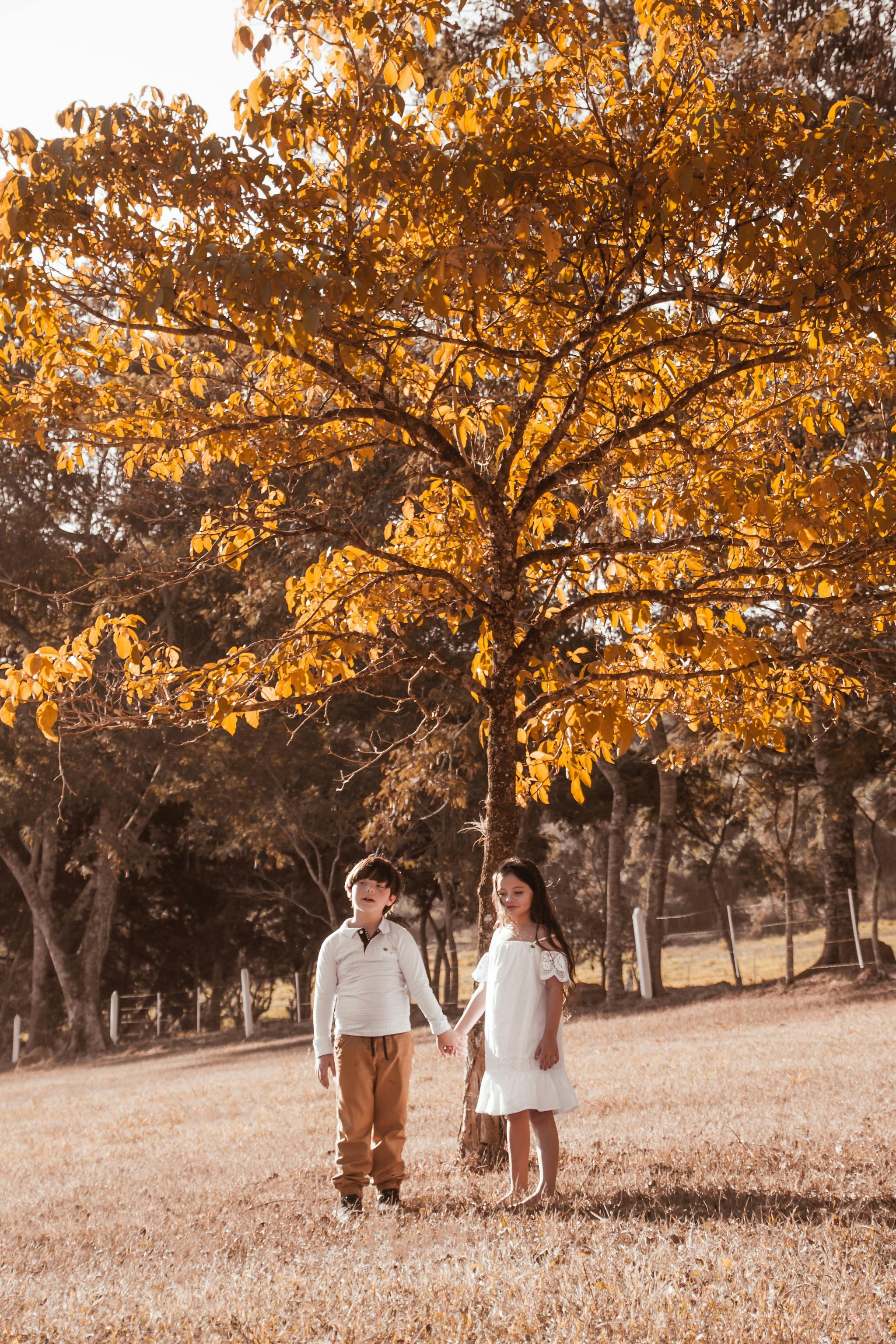 50+ Great Brother And Sister Photos · Pexels · Free Stock Photos