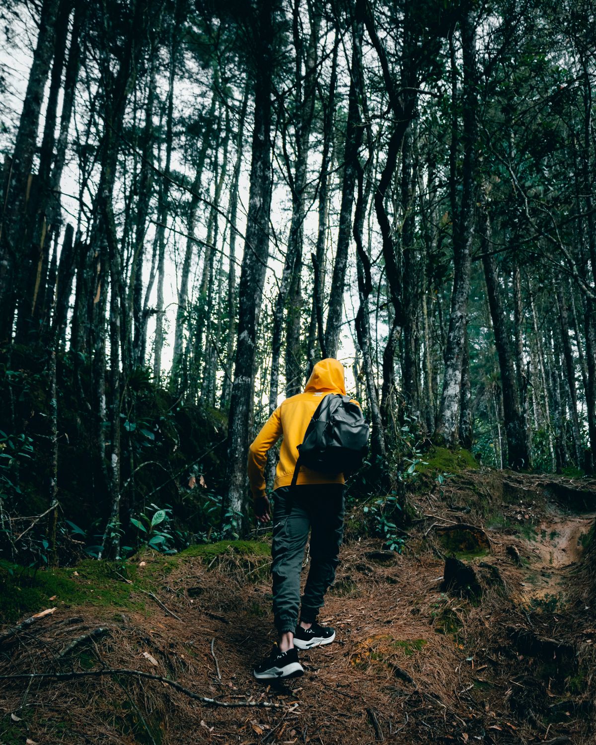 Hitch Hiking Photos, Download The BEST Free Hitch Hiking Stock Photos ...